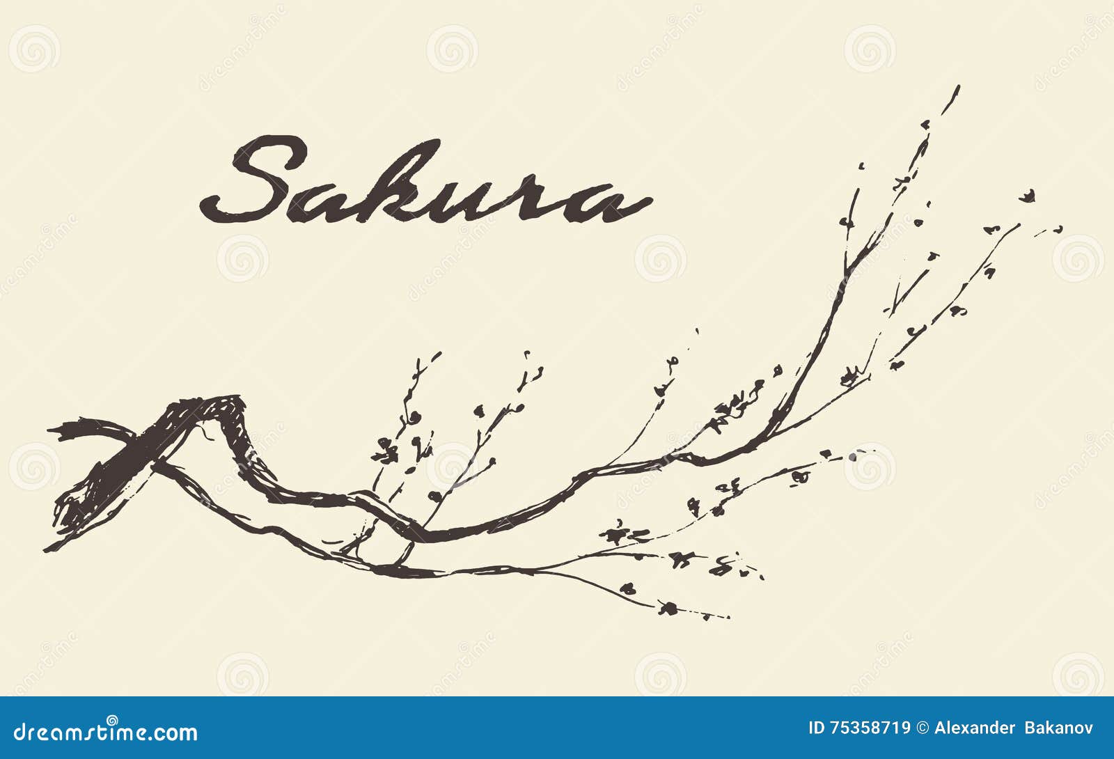 Branch Of Sakura Flower Vector For Tattoo Style On Isolated White ...