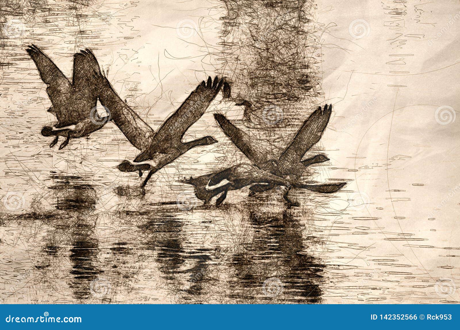 Sketch of Canada Geese Flying Over Water Stock Illustration ...