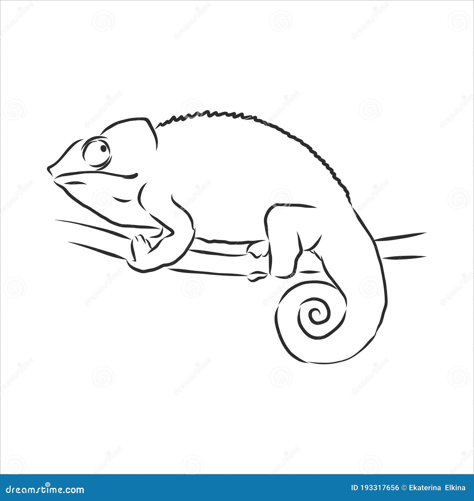 Sketch of Chameleon. Hand Drawn Vector Illustration.chameleon Animal ...