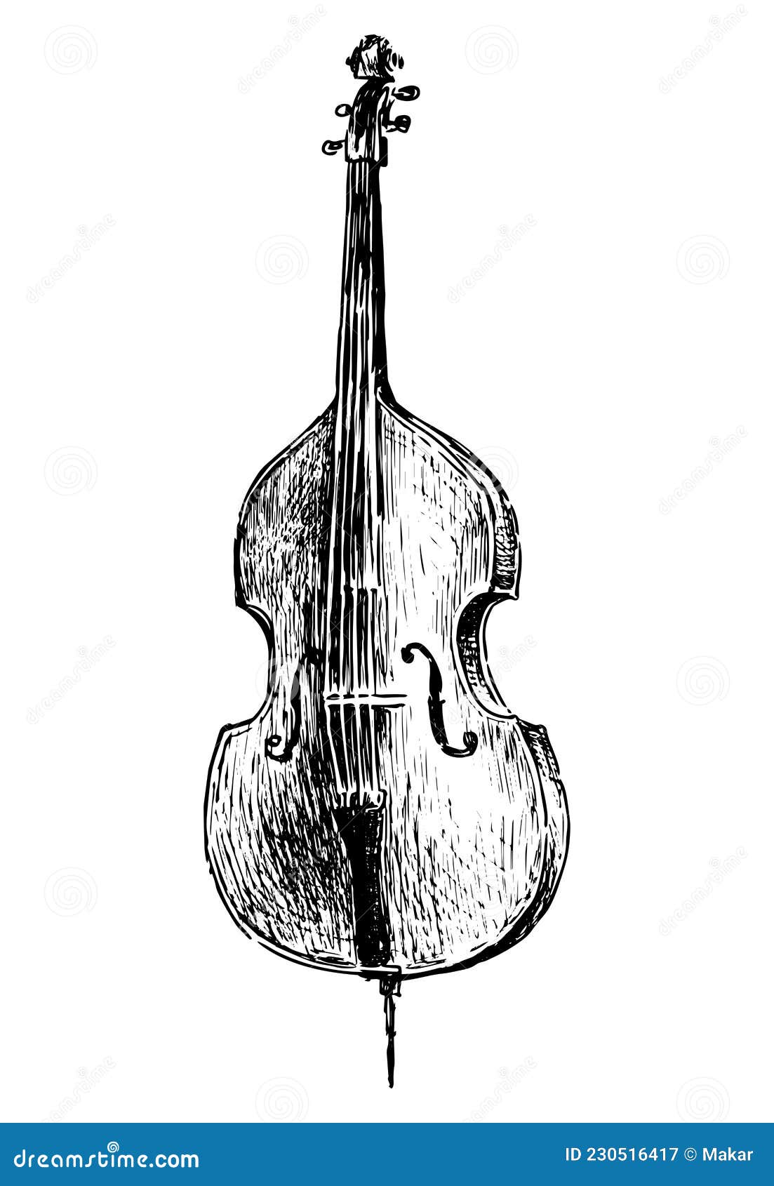 Sketch Of Classic Vintage Stringed Musical Instrument Contrabass ...