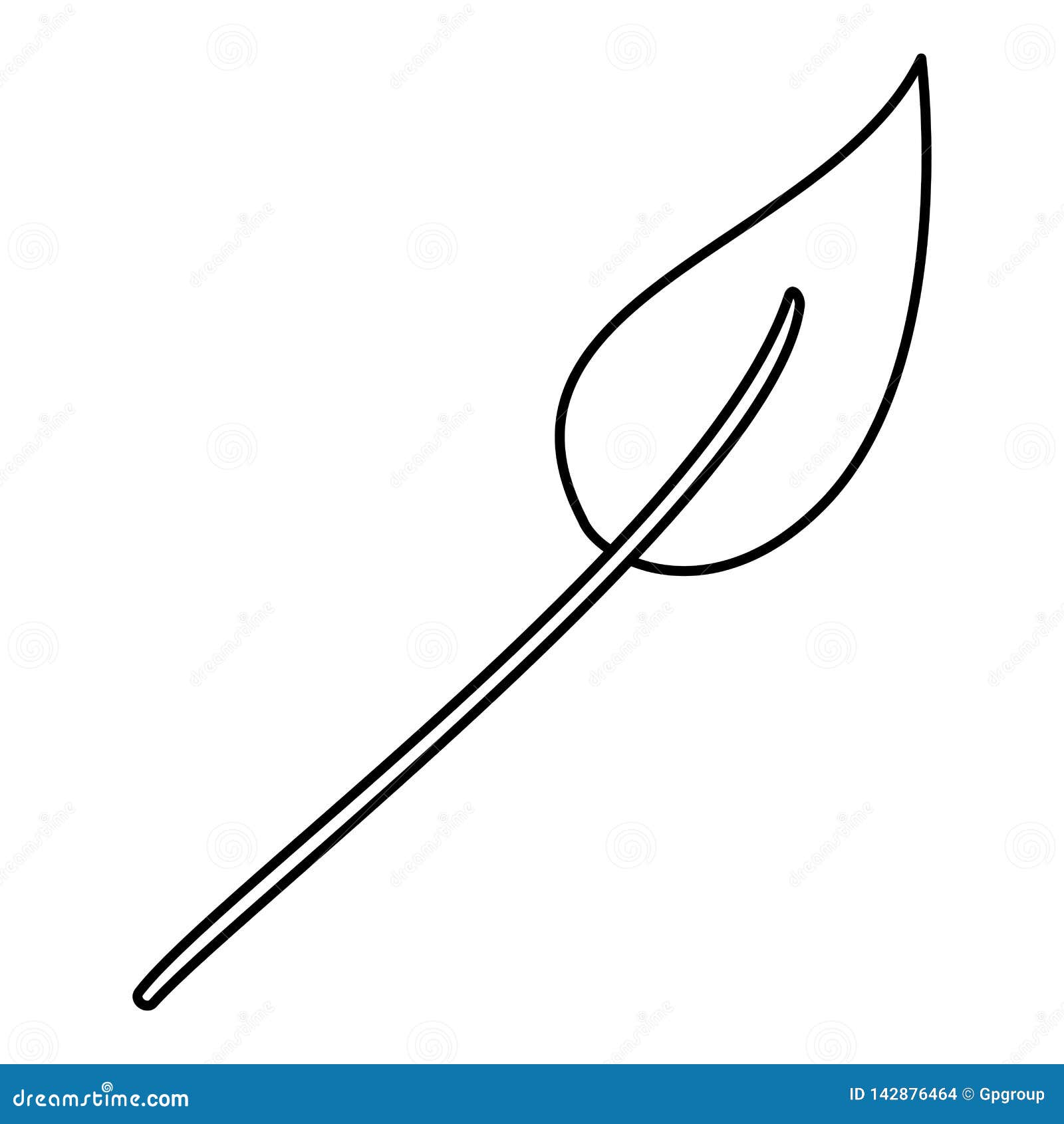 Sketch Contour of Lanceolate Leaf Plant Stock Vector - Illustration of ...