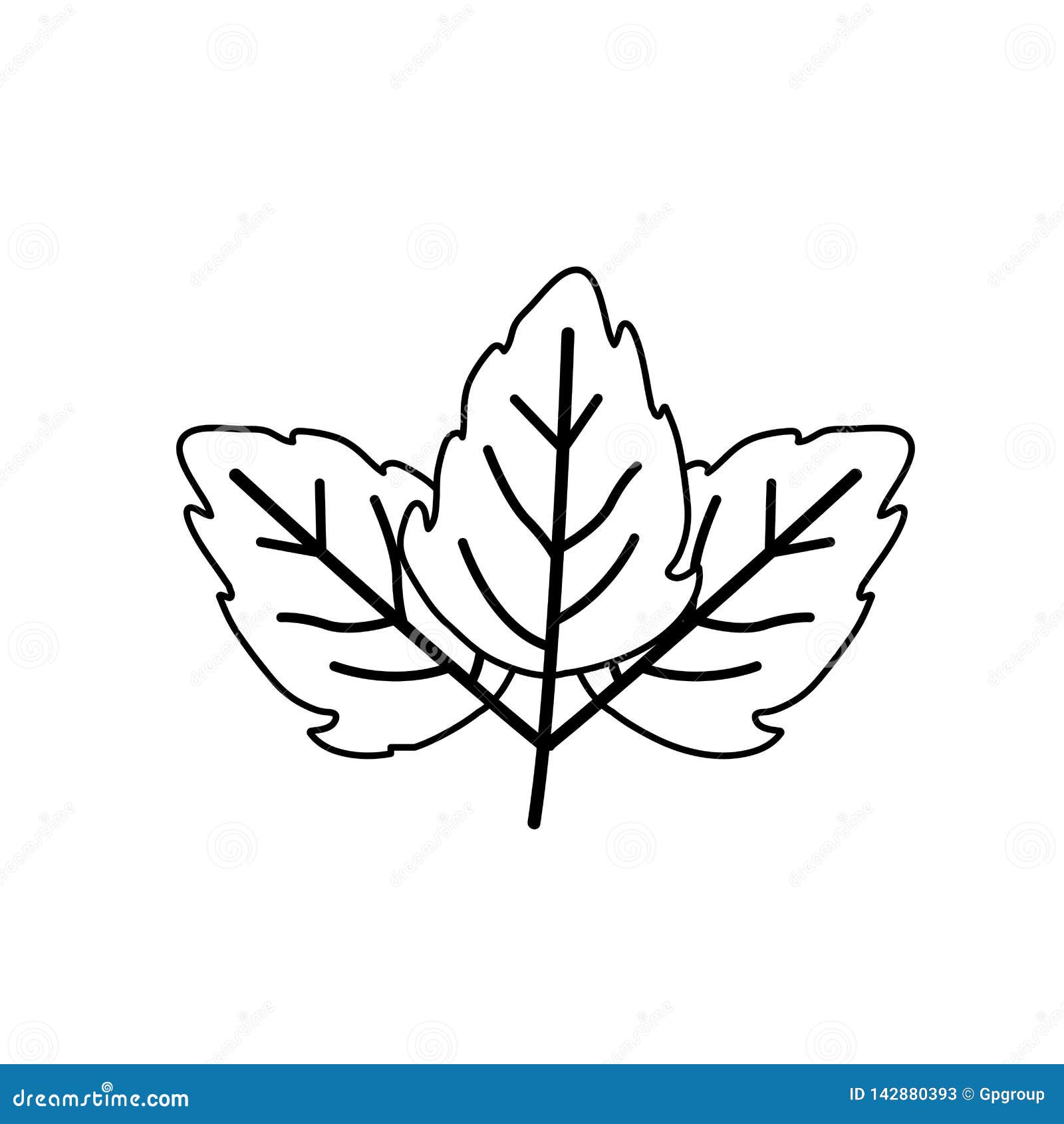 Sketch Contour of Wavy Three Leaves Plant Stock Vector - Illustration ...