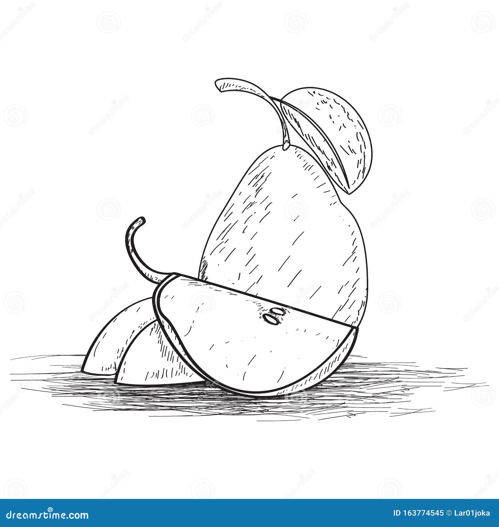 Sketch of a cut pear stock vector. Illustration of vintage - 163774545