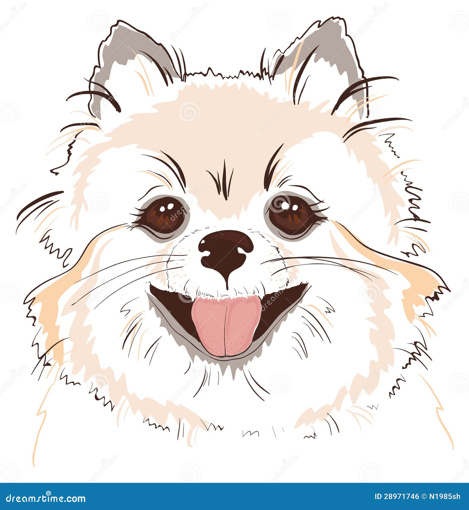Sketch of cute spitz dog stock illustration. Illustration of line ...