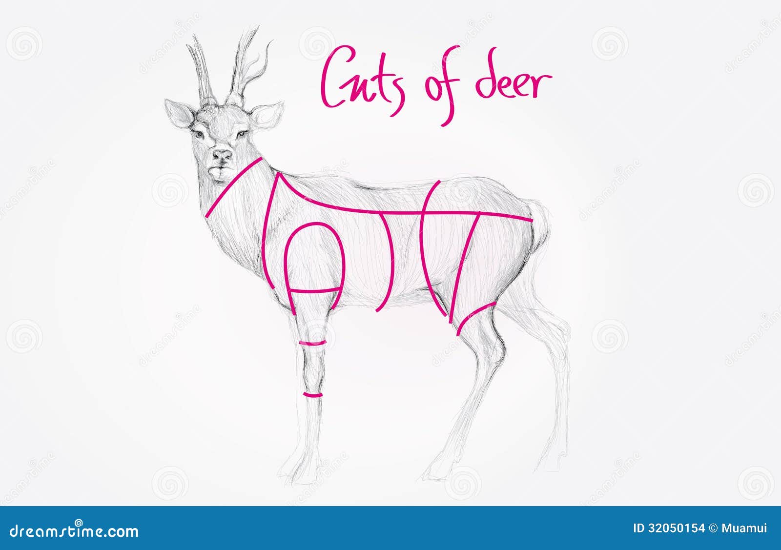 Sketch of deer stock vector. Illustration of cute, gradient - 32050154