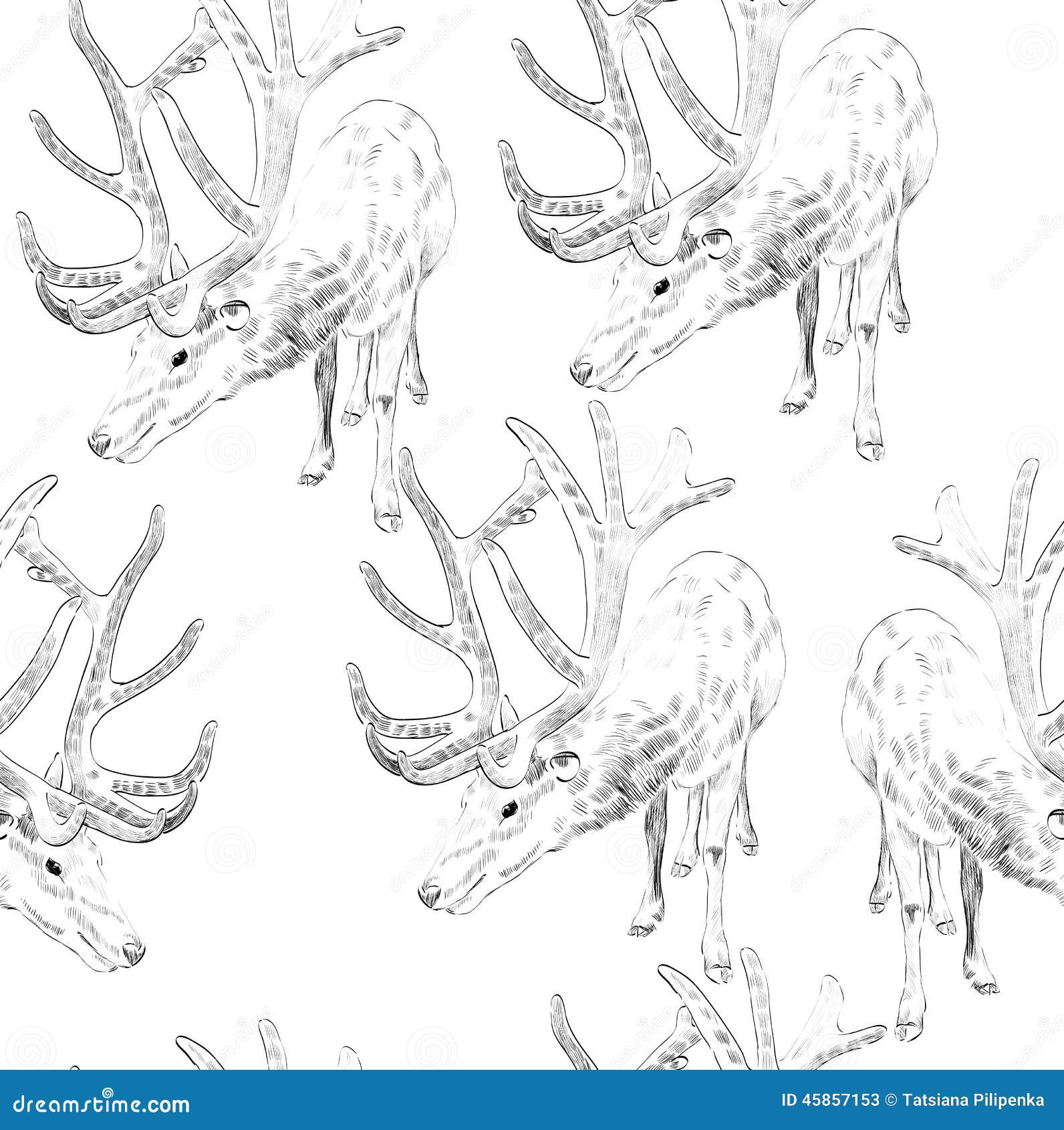Sketch Deer With Mustache, Suitecase, Bicycle And Photo Camera, Vector ...