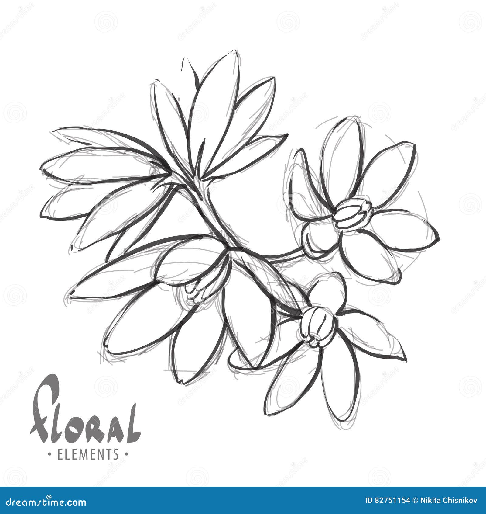 Sketch a delicate flower stock vector. Illustration of leaf - 82751154 Sketch a delicate flower stock vector. Illustration of leaf - 82751154