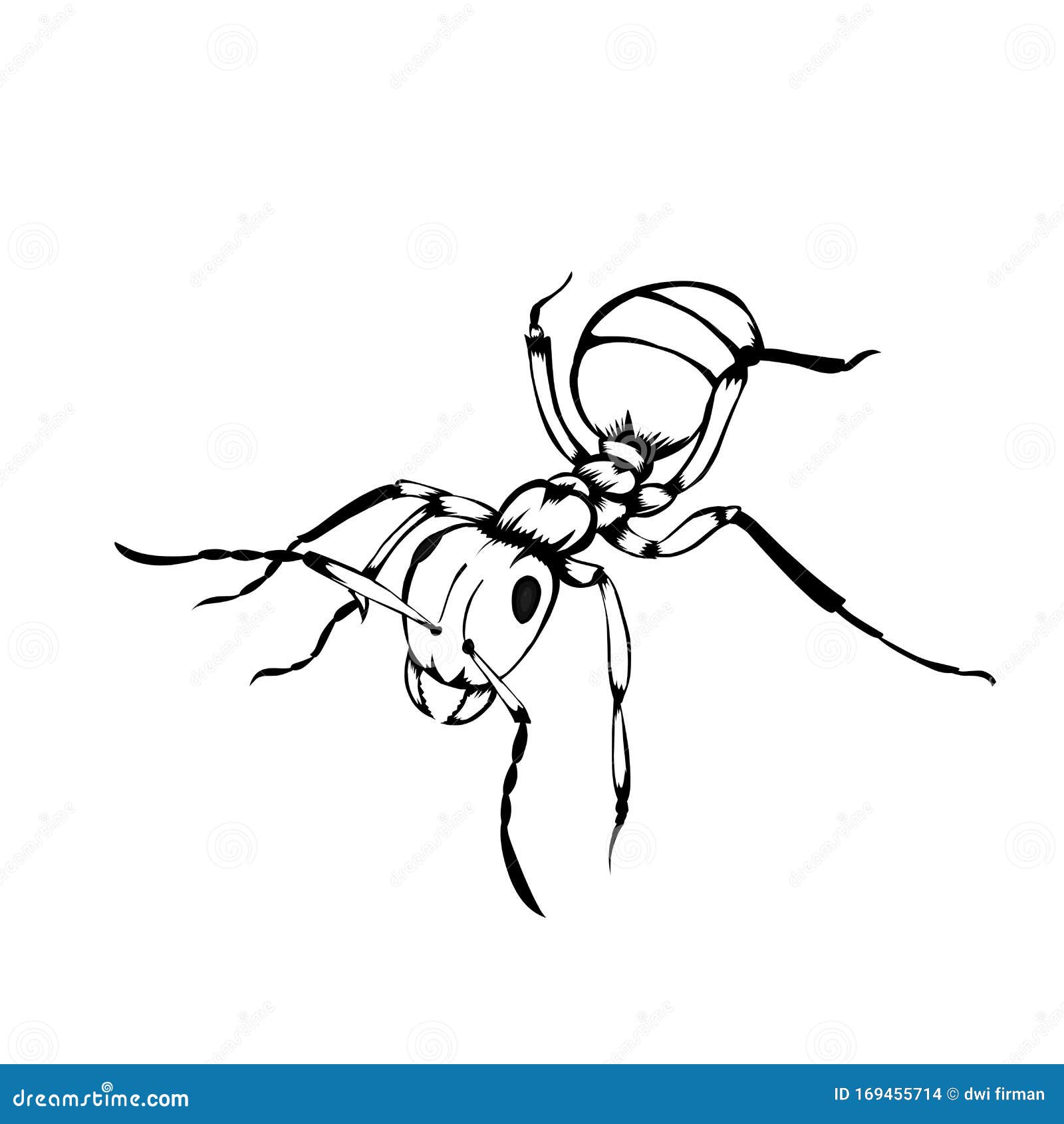 Simple Design of Insect Beetle Stock Illustration - Illustration of ...