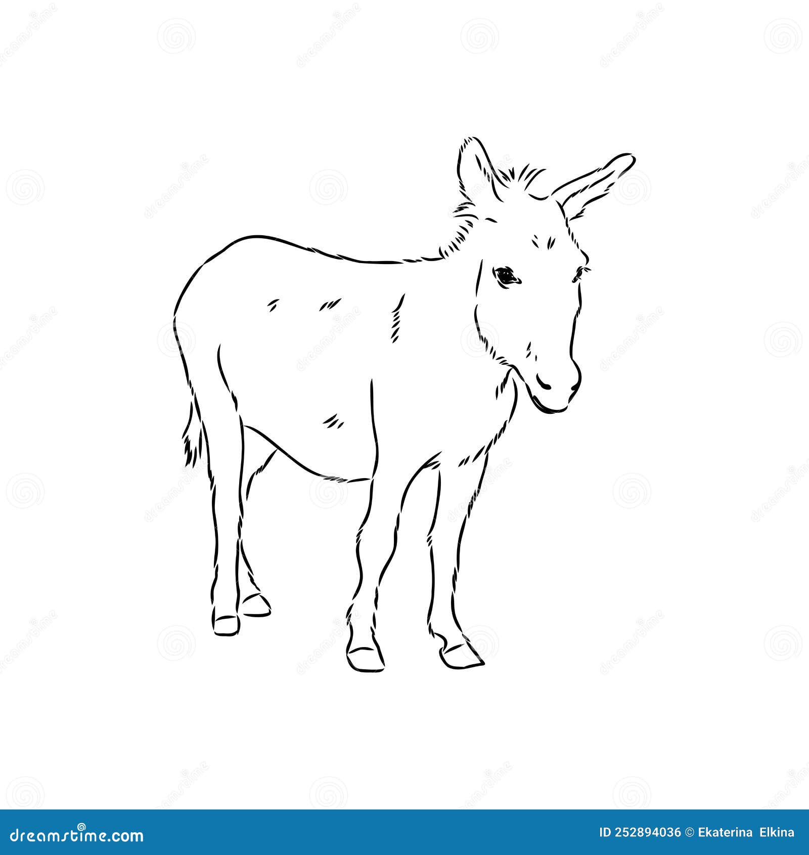 Sketch of Donkey Hand Drawn Illustration Donkey Vector Stock Vector ...