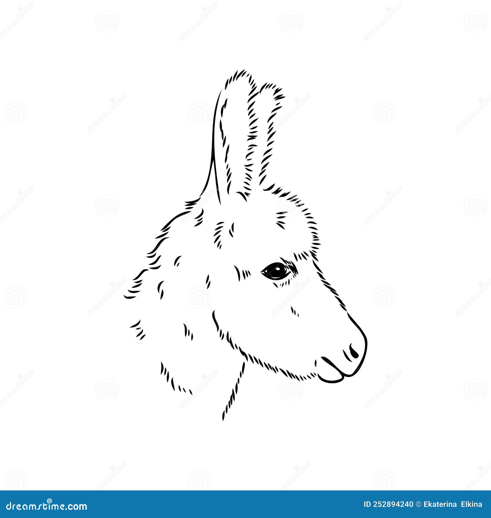 Sketch of Donkey Hand Drawn Illustration Donkey Vector Stock Vector ...