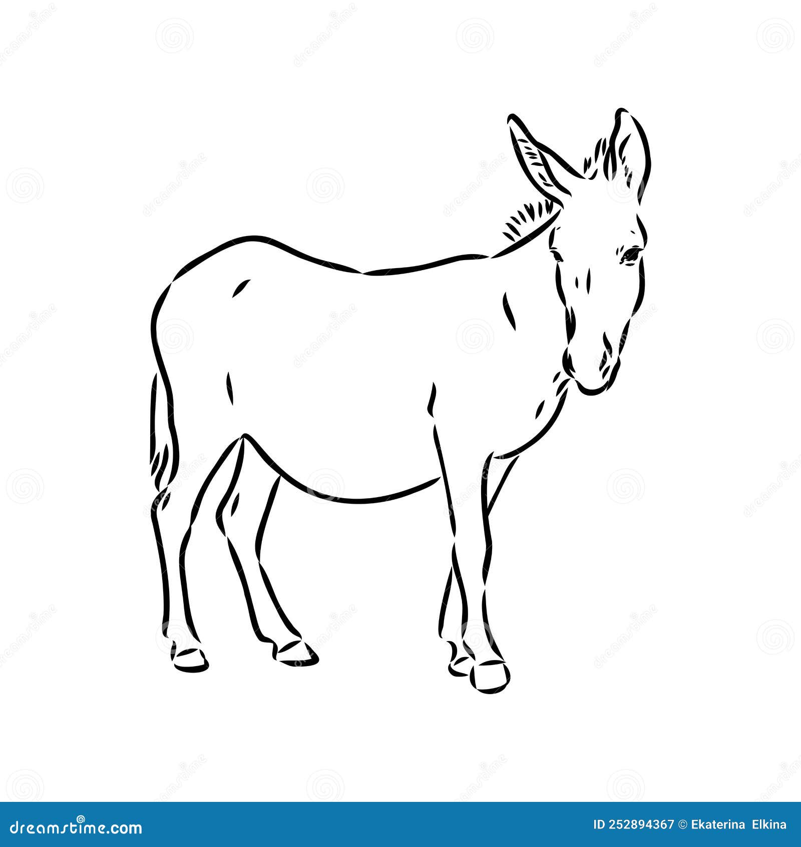 Sketch of Donkey Hand Drawn Illustration Donkey Vector Stock Vector ...