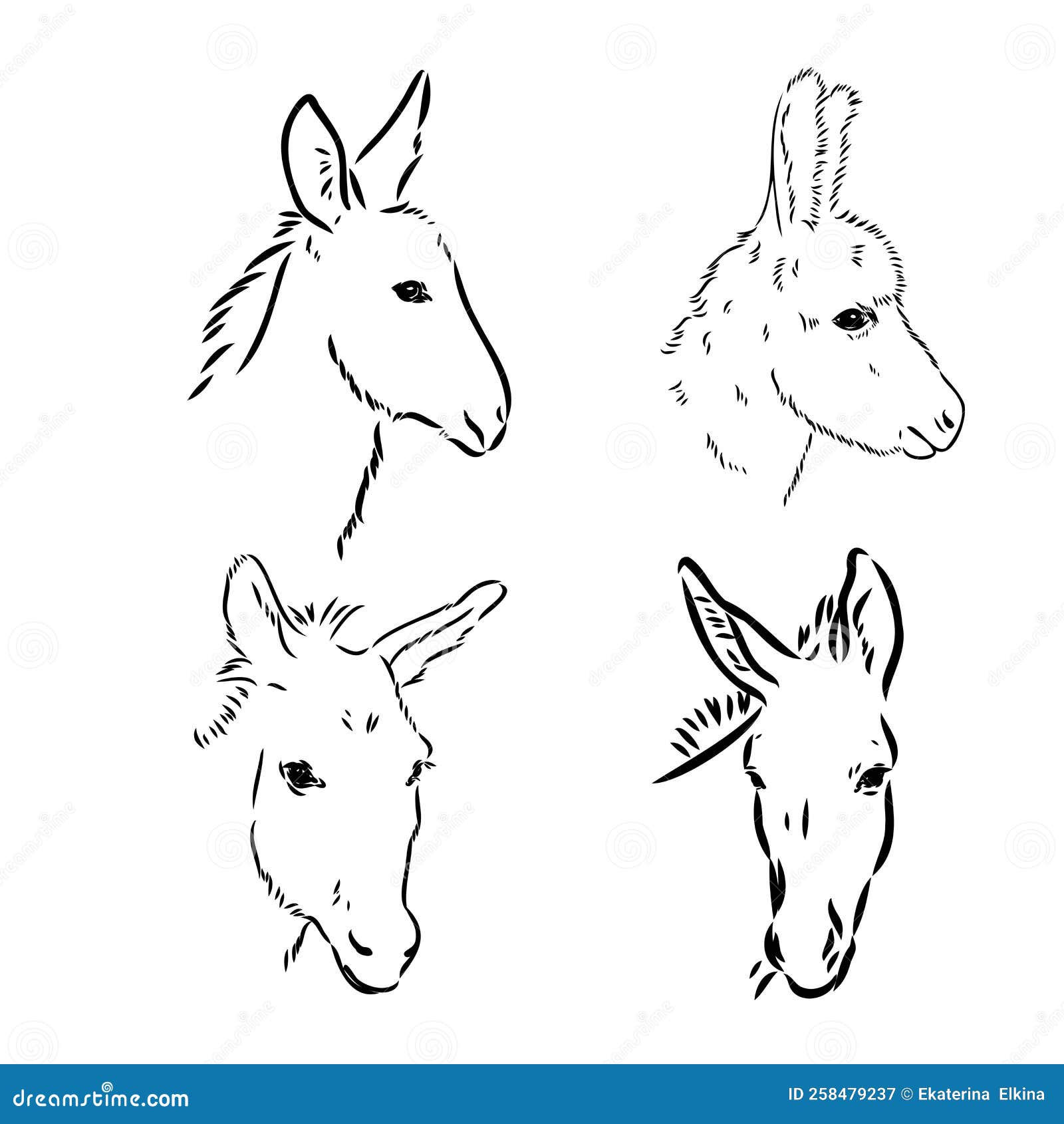 Sketch of Donkey Hand Drawn Illustration Donkey Vector Stock Vector ...