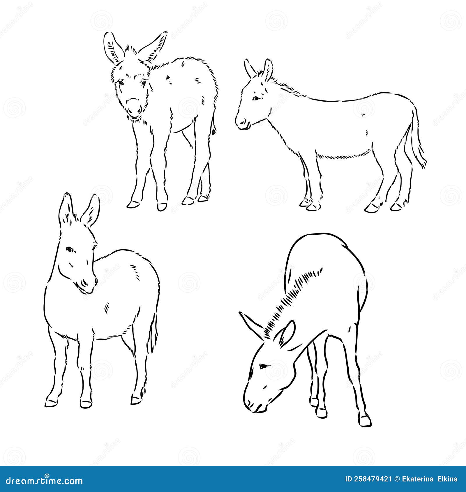 Sketch of Donkey Hand Drawn Illustration Donkey Vector Stock Vector ...