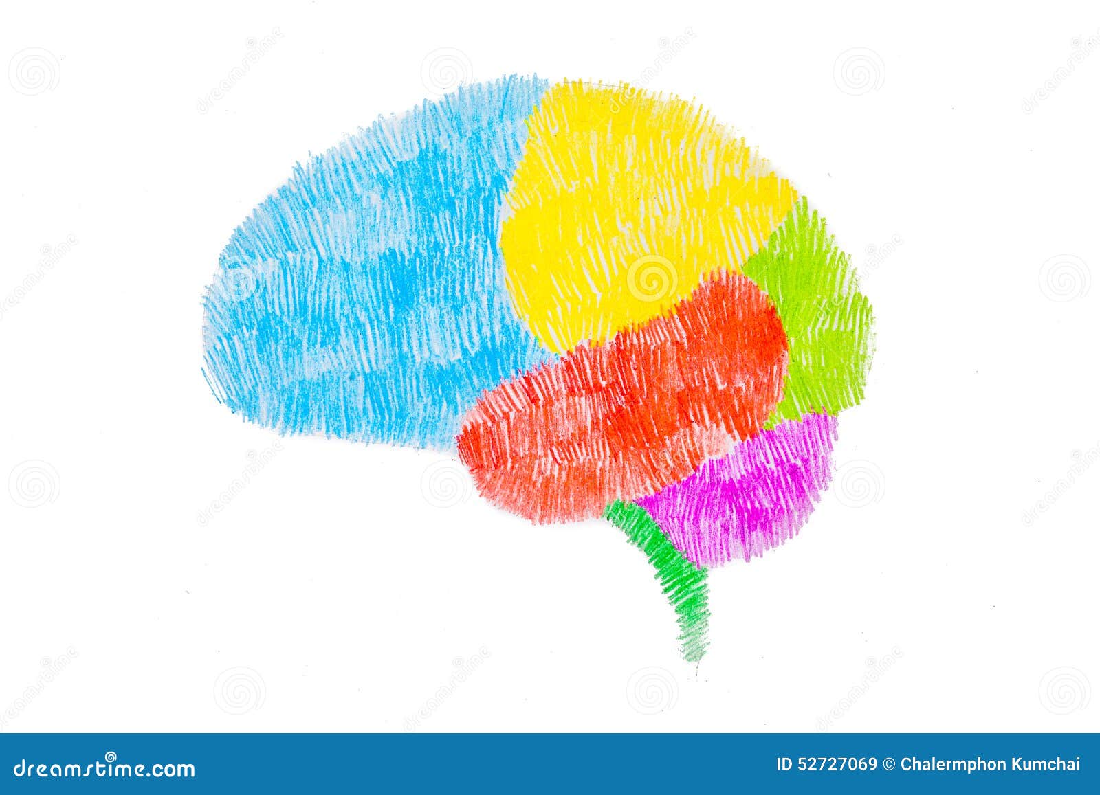 Brain Graphic Made Of Streamlined Particles, Vector Illustration ...