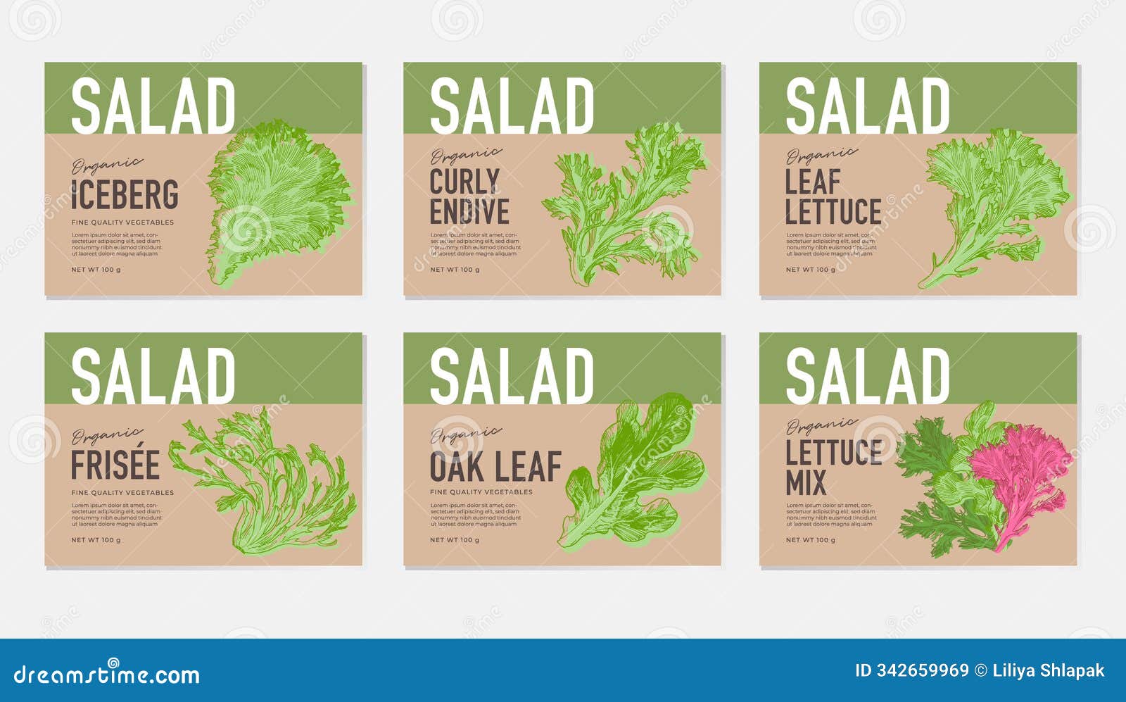 Lettuce Packaging Designs Brown Stock Illustration - Illustration of ...