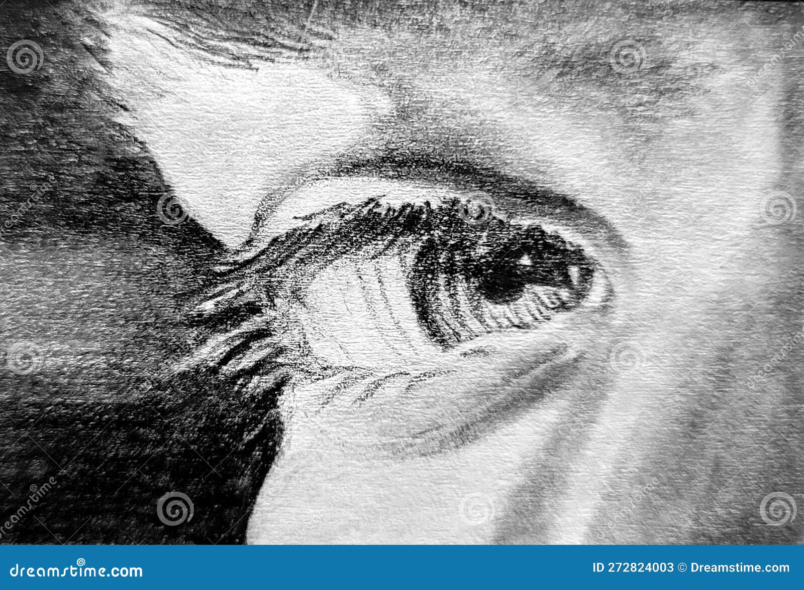 Sketch of eye editorial stock photo. Image of hand, organ - 272824003