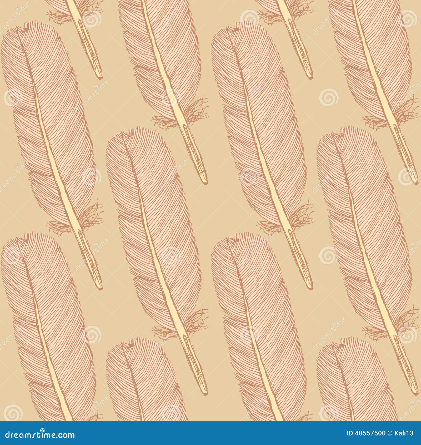 Sketch Feather, Vintage Seamless Pattern Stock Illustration ...
