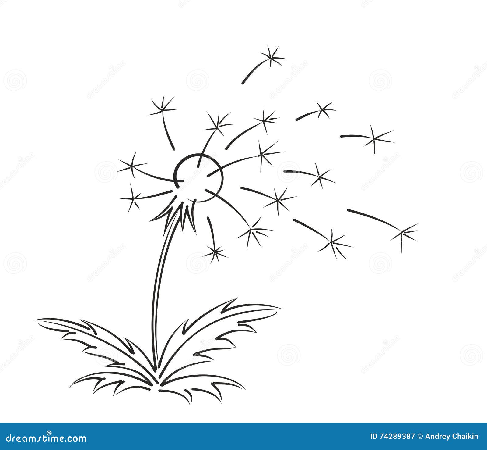 Sketch of field dandelion. stock vector. Illustration of blossoming ...