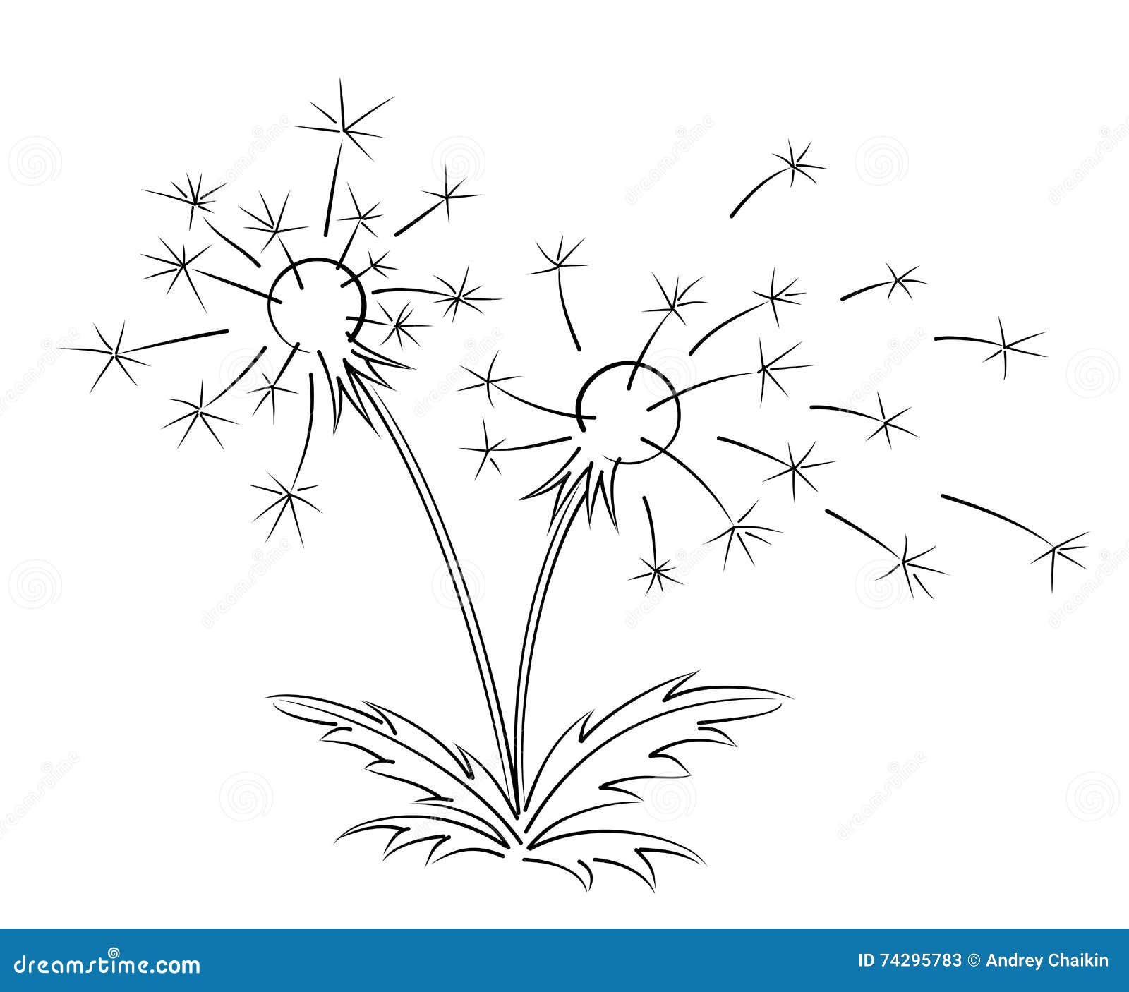 Sketch of field dandelion. stock vector. Illustration of flower - 74295783