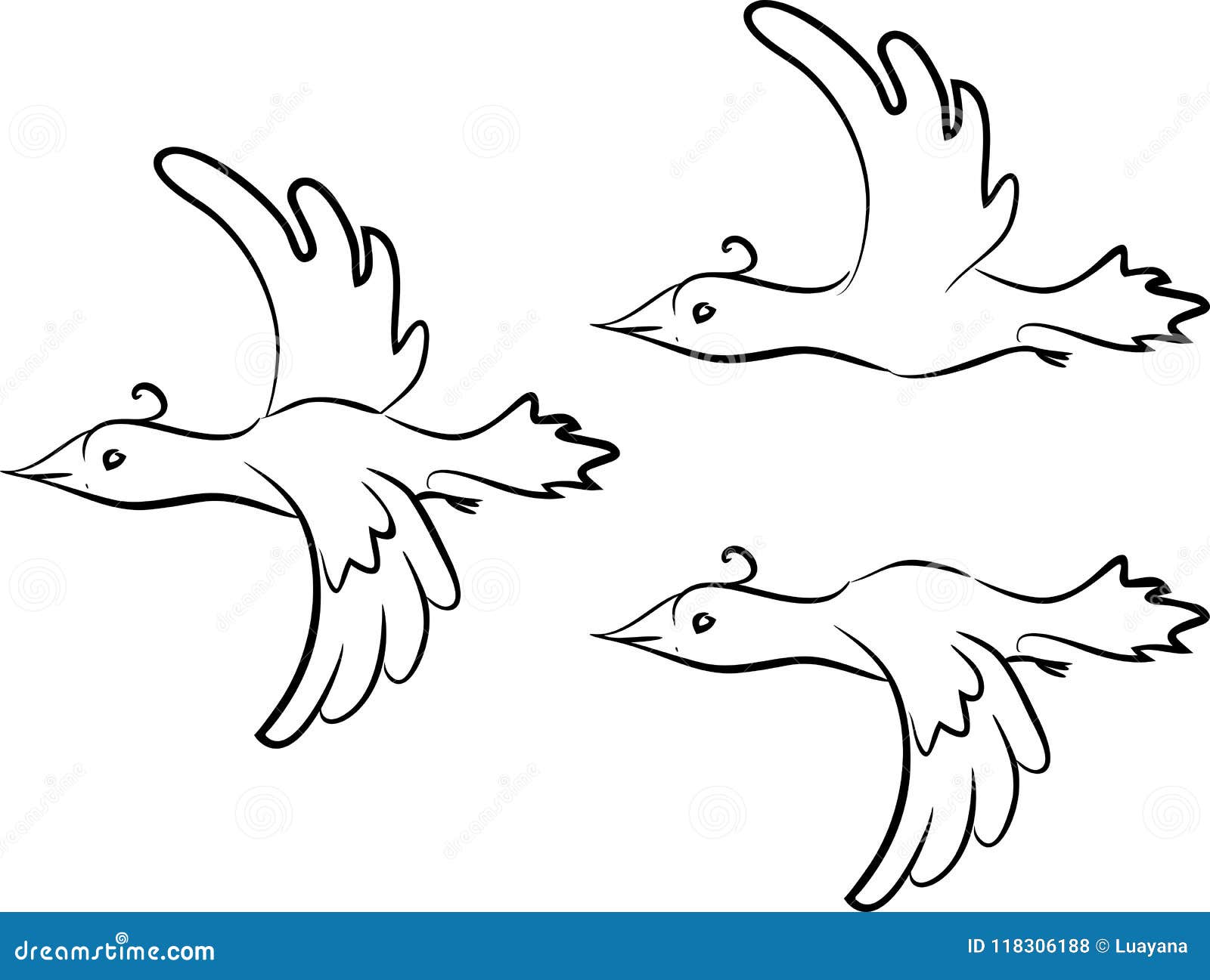 Bird Soaring Drawing