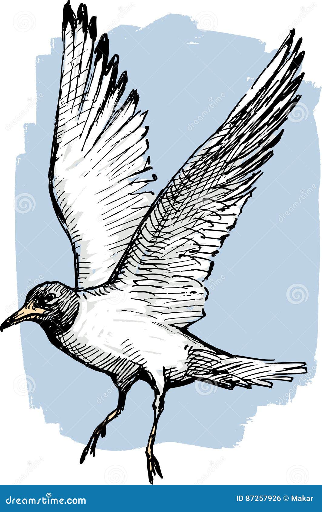 Flying Gull With Wings Up Flat Vector Illustration. Marine Seagull ...