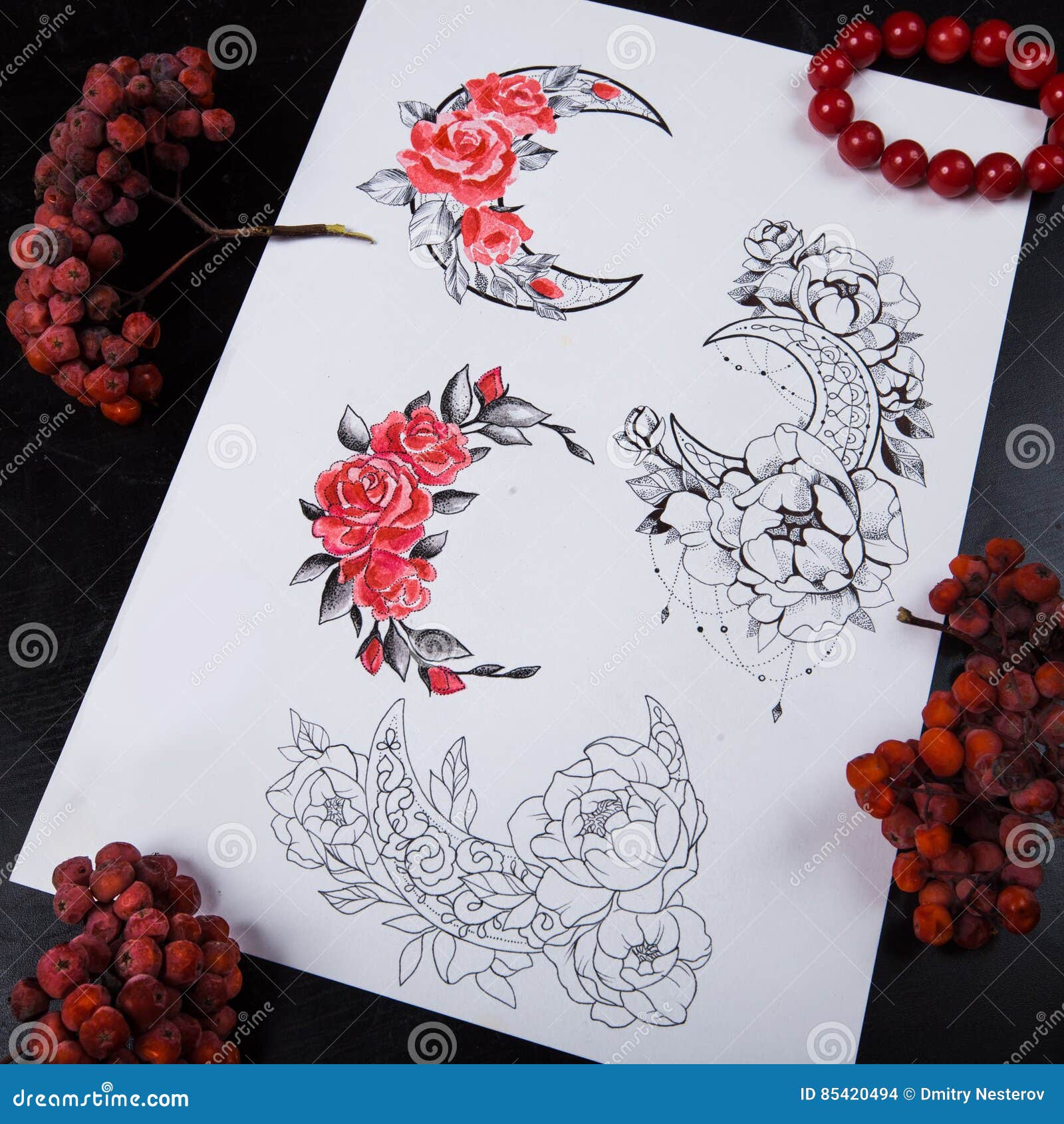 Sketch the Four Moons of Flowers on a White Background. Stock ...