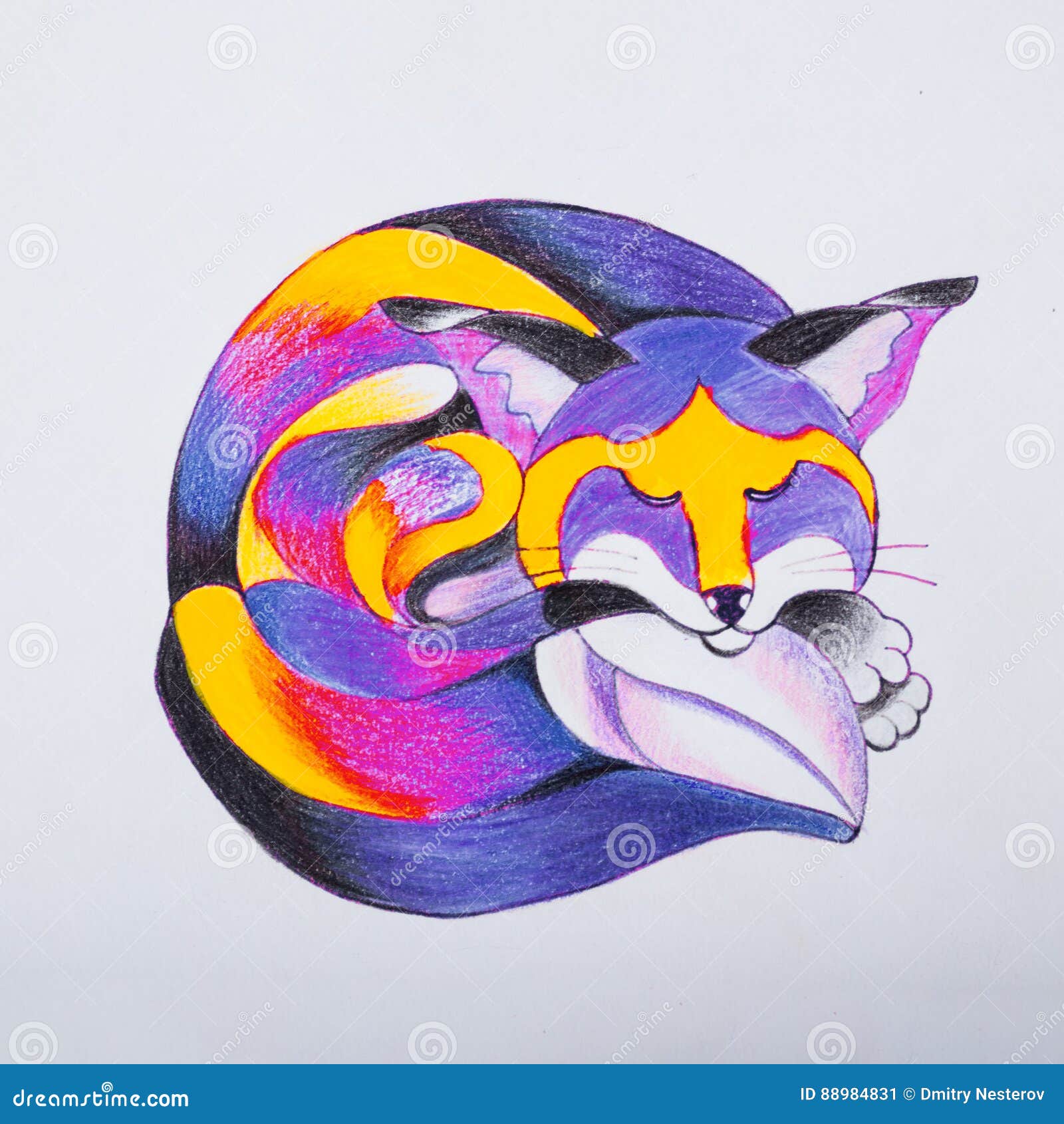 Sketch of a Fox Which Curled Up and Asleep. Stock Image - Image of ...