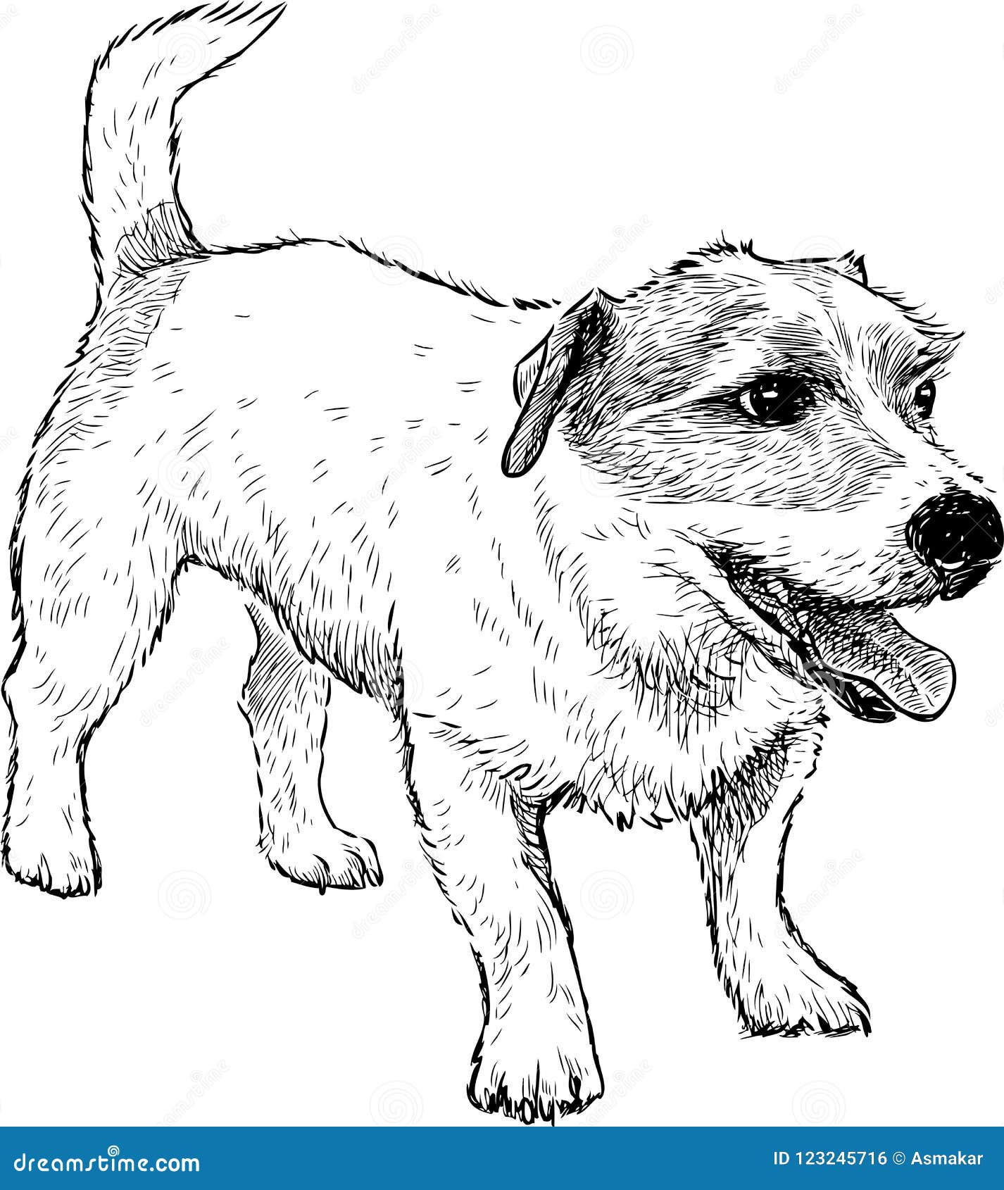 Sketch of a Funny Small Dog Stock Vector - Illustration of pedigree ...