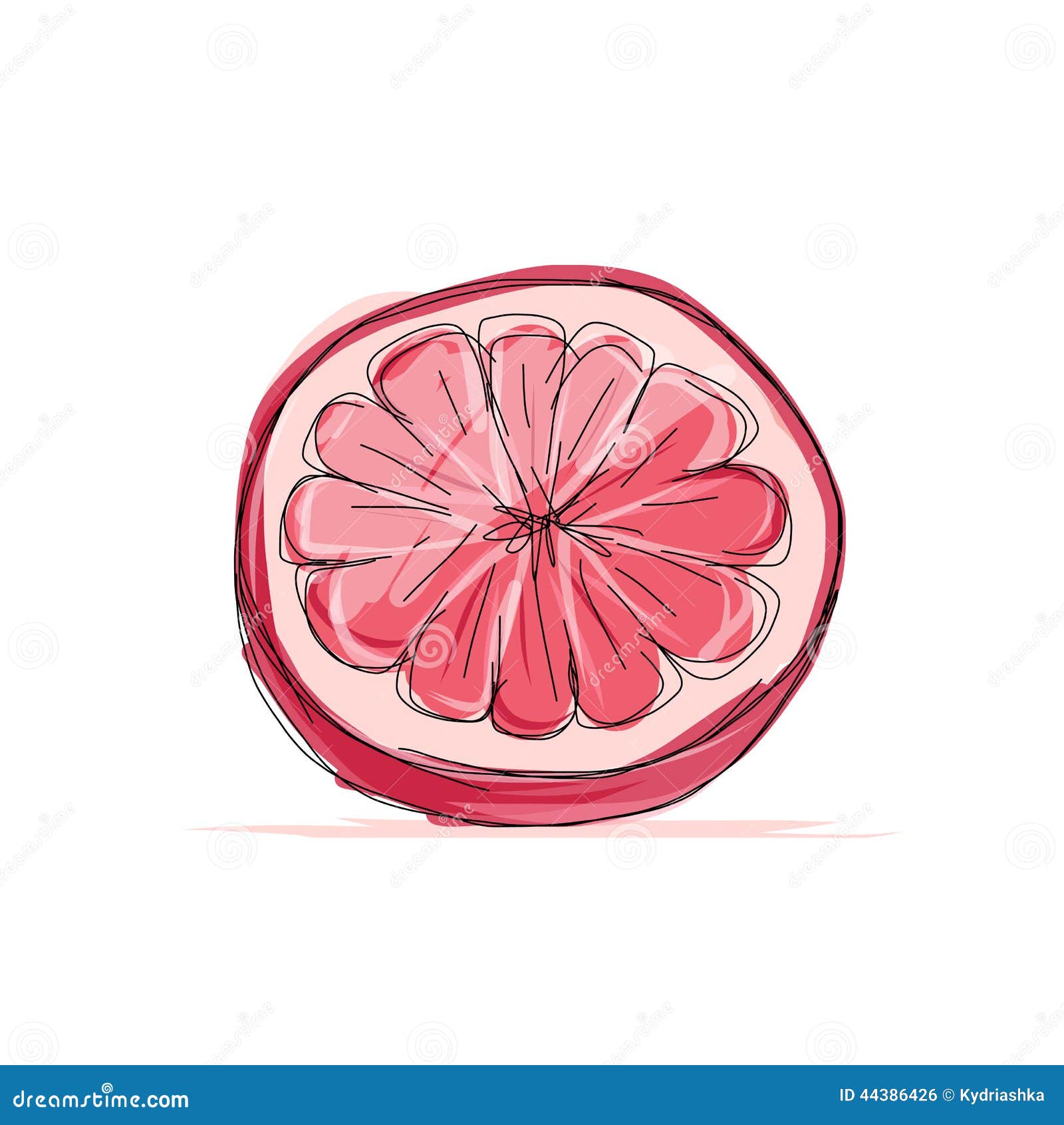 Sketch of Grapefruit for Your Design Stock Vector - Illustration of ...