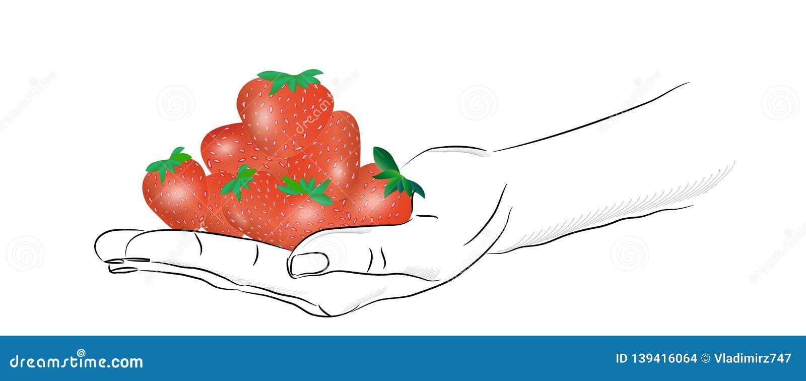The Sketch of the Hand with a Handful of Red Strawberries Stock Vector ...