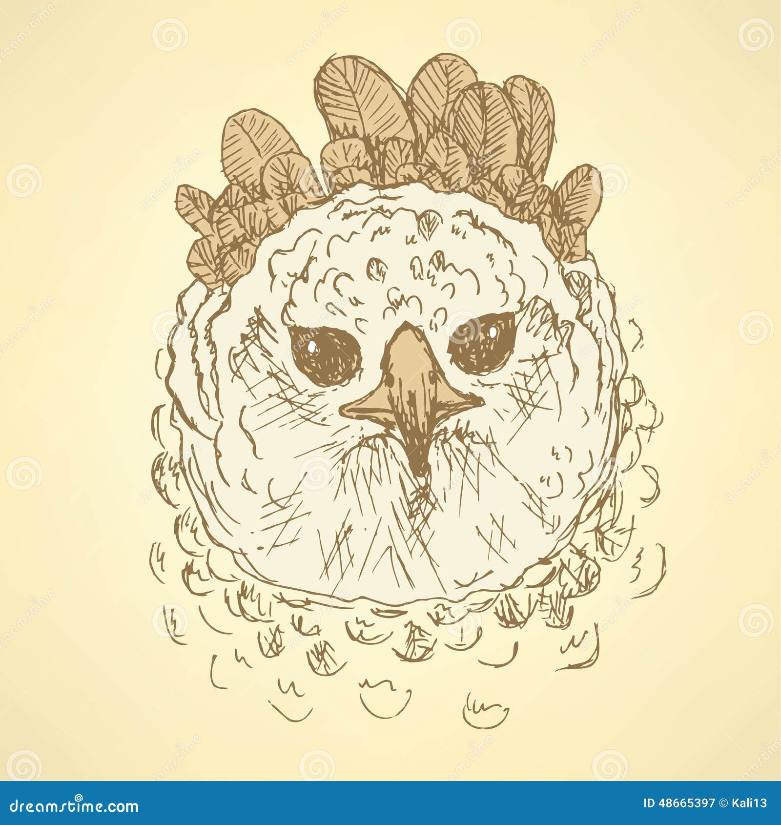 Sketch Harpia Bird Head in Vintage Style Stock Vector - Illustration of ...