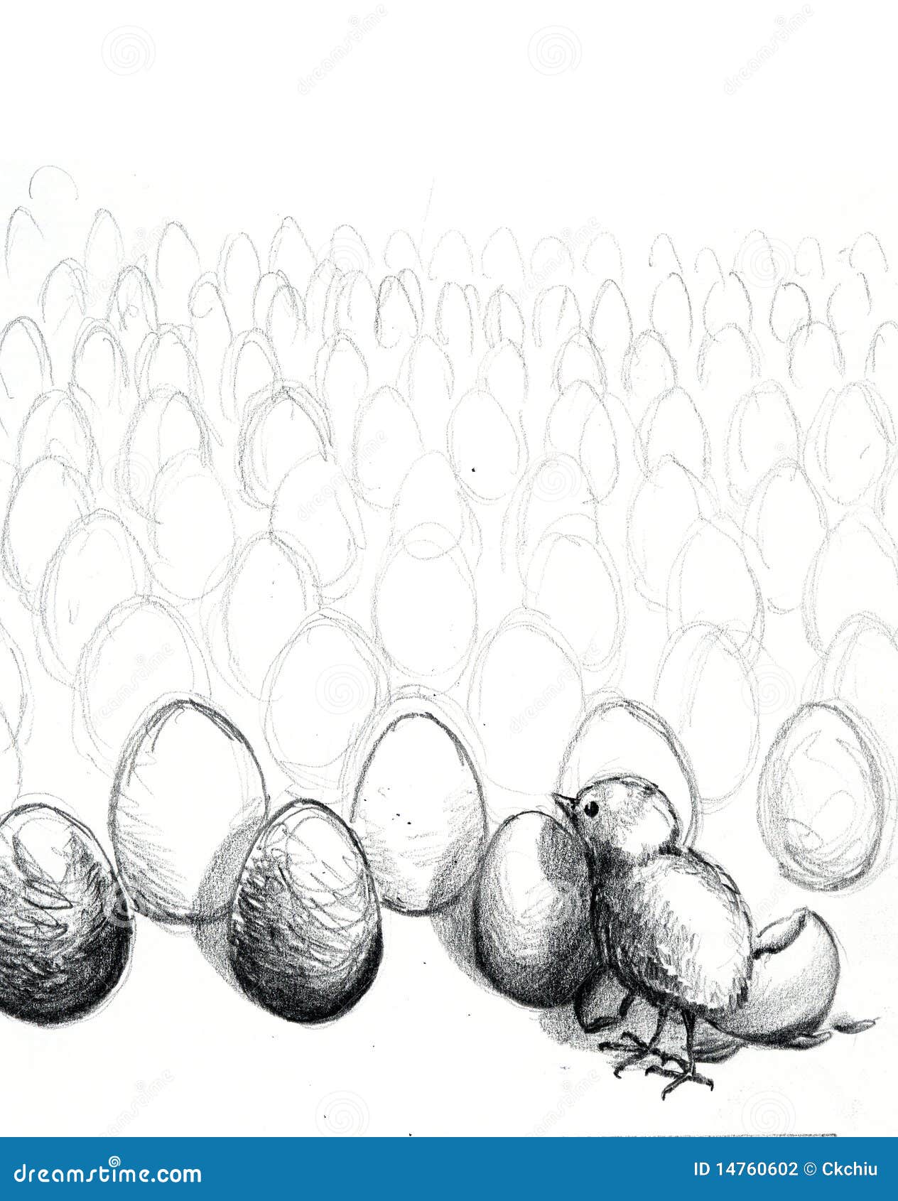 Sketch of a Hatching Chick stock illustration. Illustration of organic ...