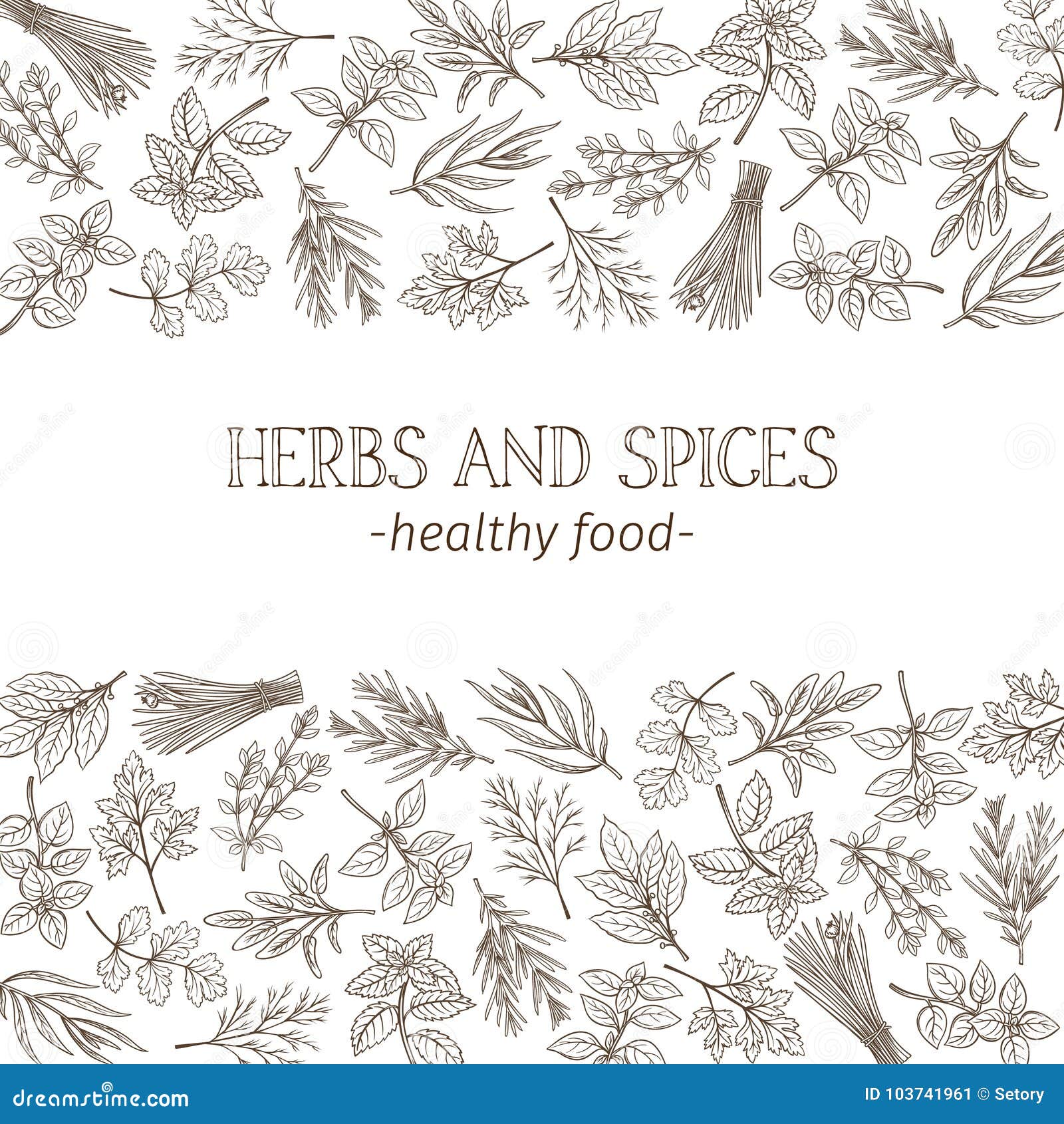 Sketch herbs and spices stock vector. Illustration of dill - 103741961 Sketch herbs and spices stock vector. Illustration of dill - 103741961