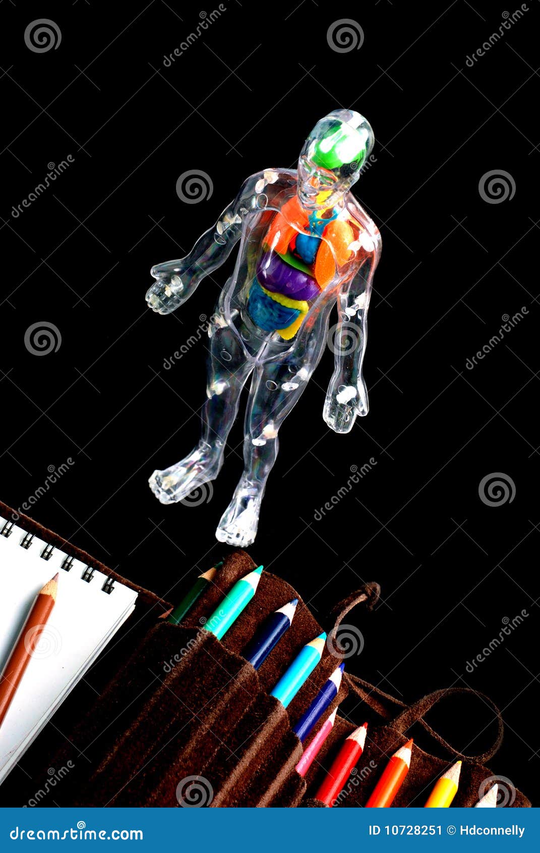Sketch of human body stock illustration. Illustration of artistically ...
