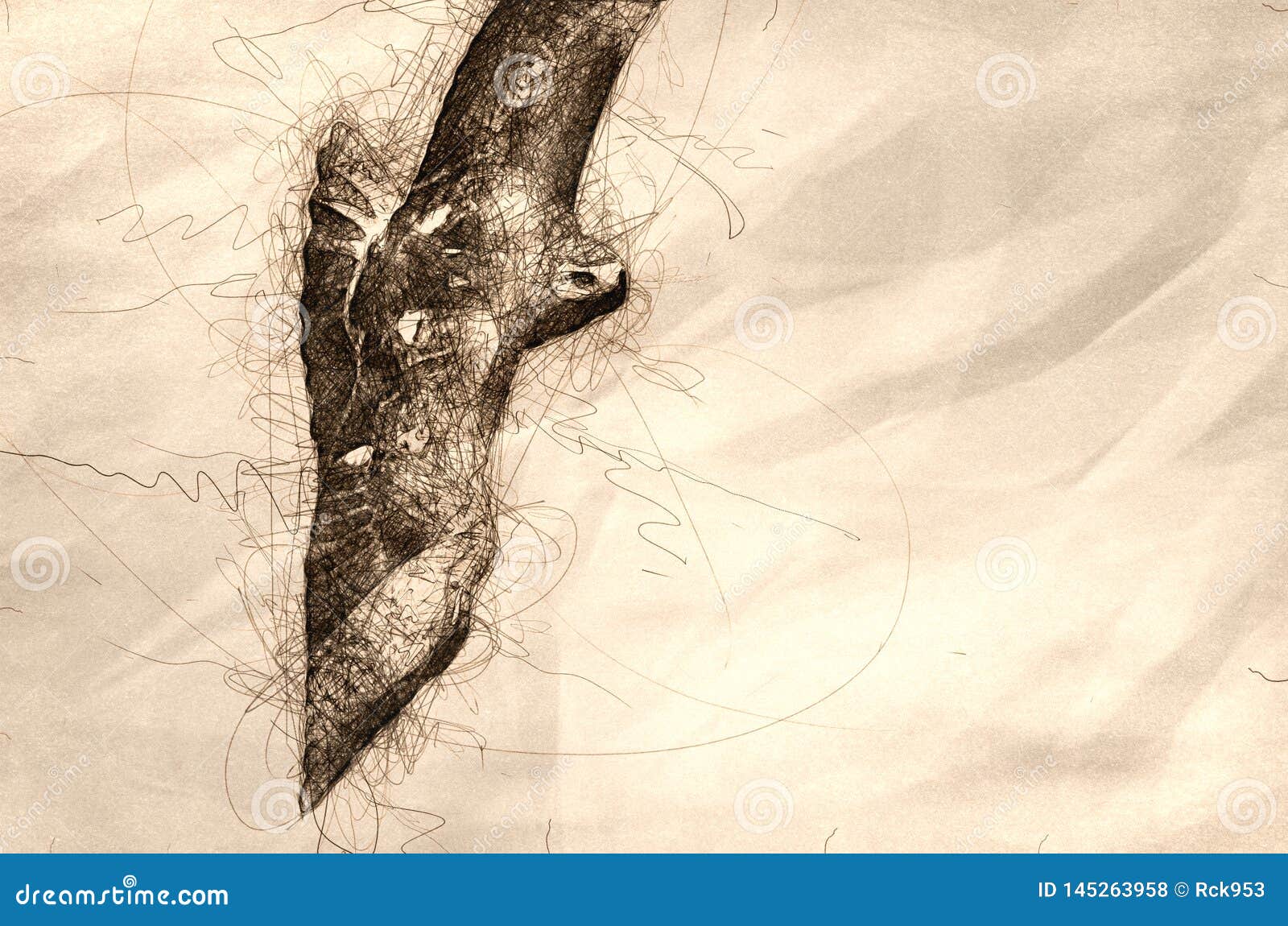 Sketch Of A Red Tailed Hawk On The Hunt Royalty-Free Stock Photo ...