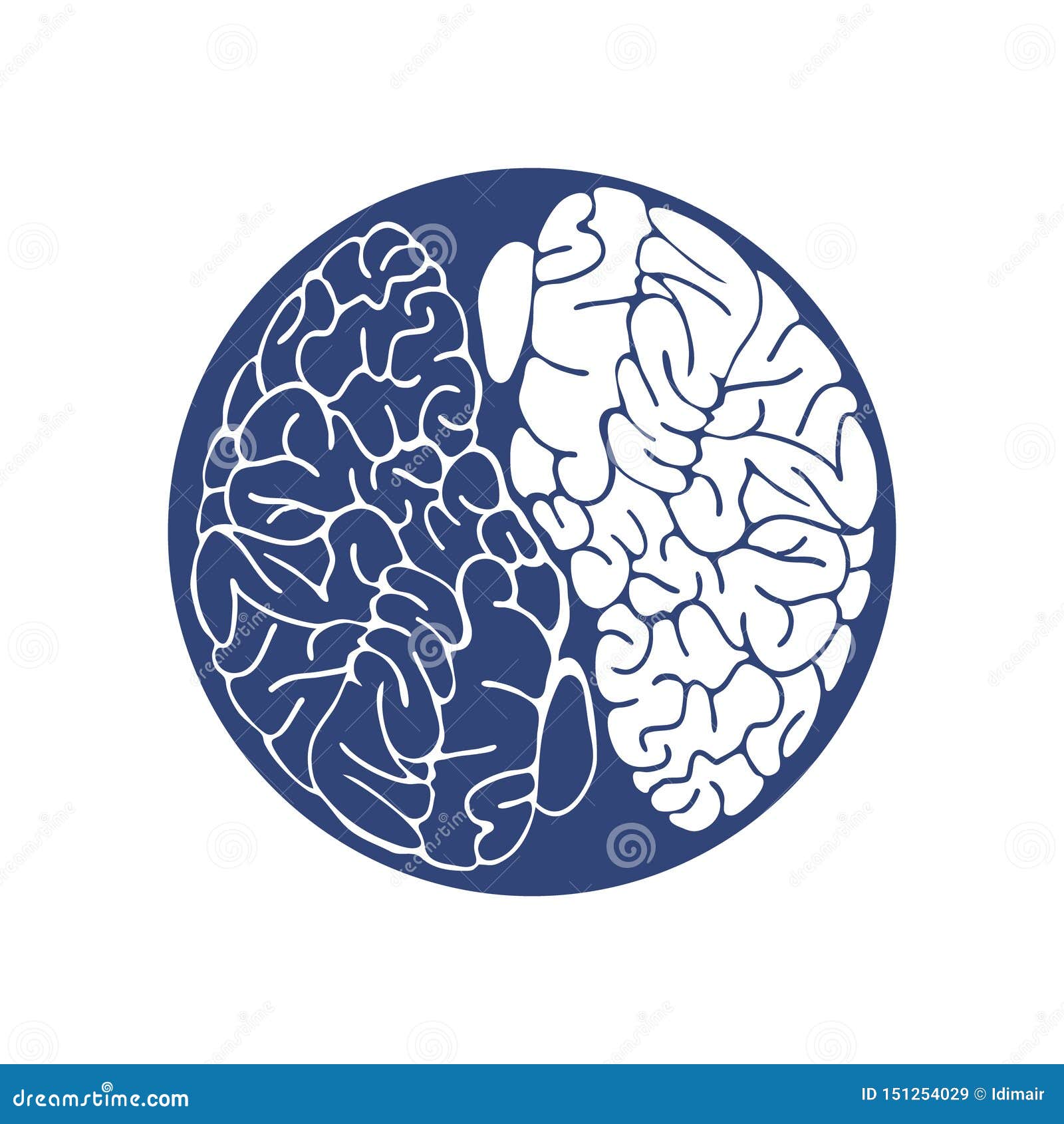 Sketch Ink Human Brain, Hand Drawn ,Anatomical Illustration. Vector ...