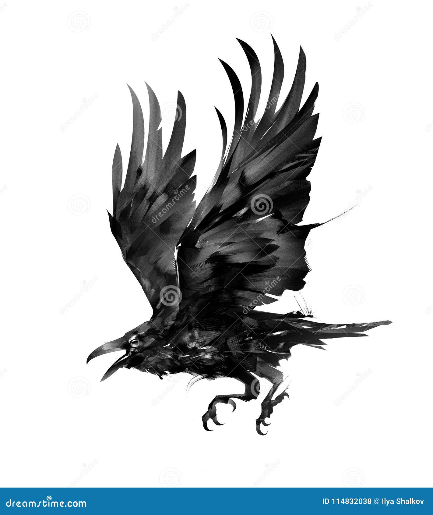 Painted Isolated Flying Bird Rook on the Side Stock Illustration ...