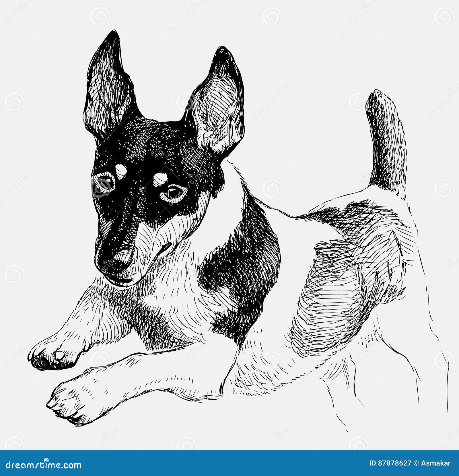 Sketch of a jumping dog stock vector. Illustration of hound - 87878627