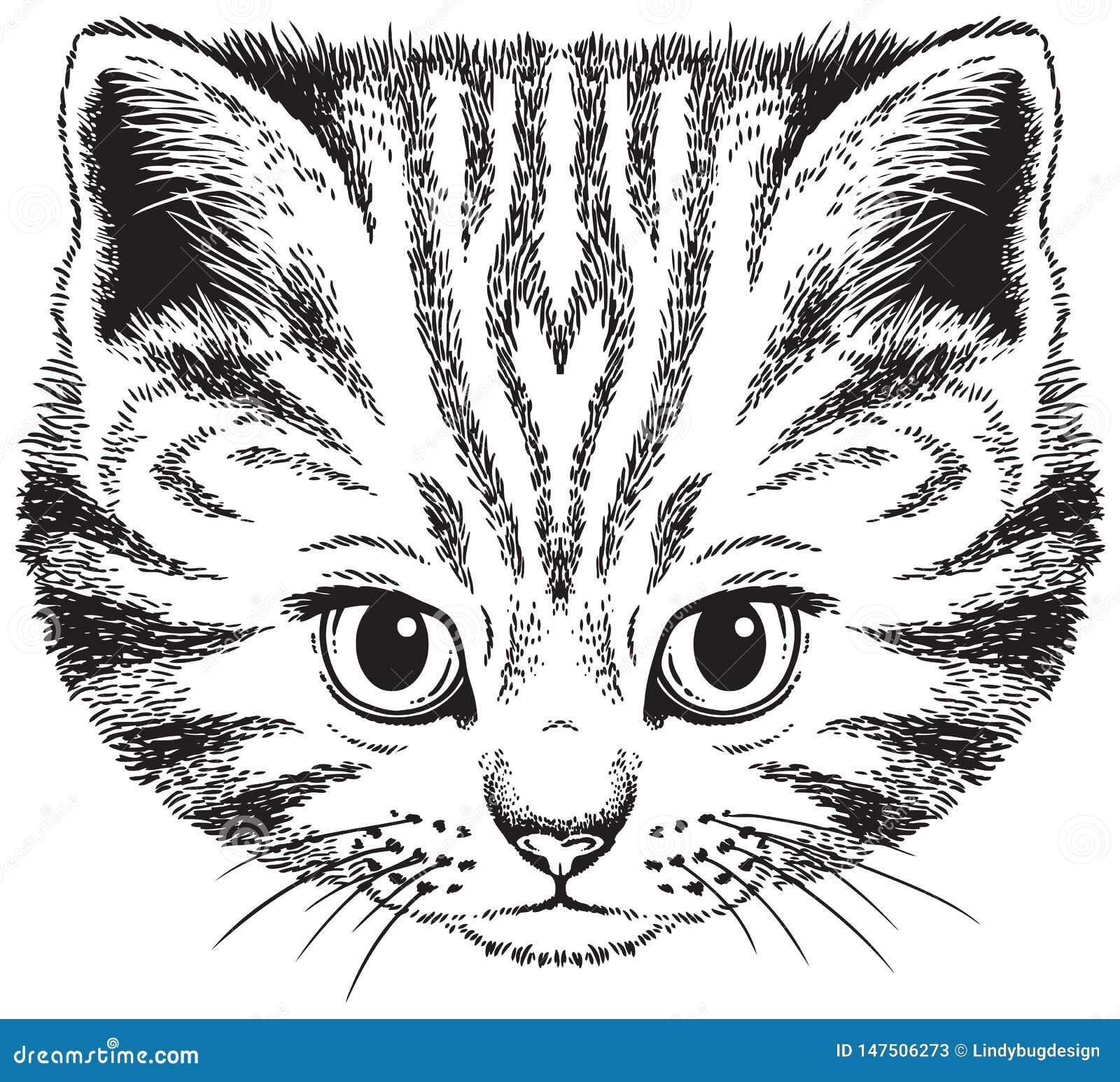 Sketch of a kitten`s face stock illustration. Illustration of drawing ...