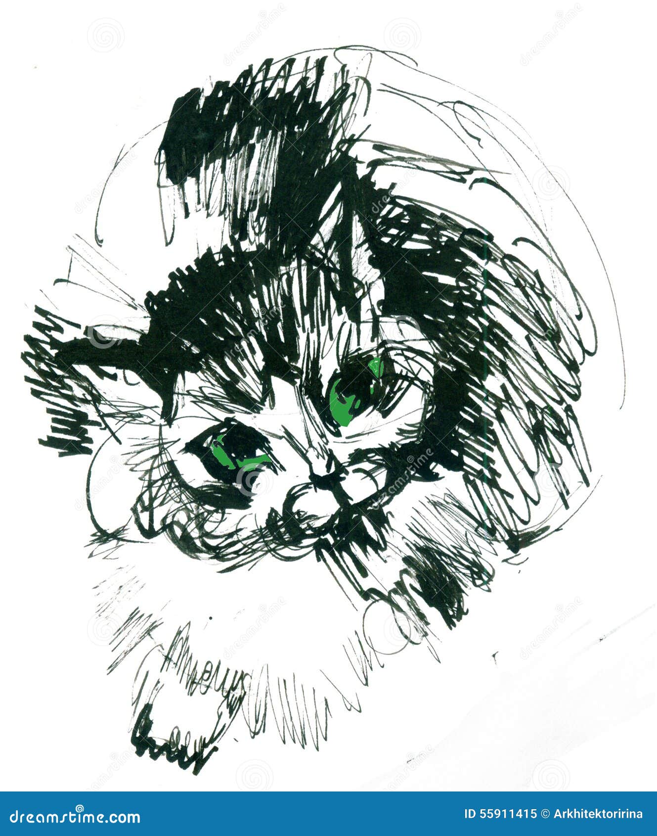 Sketch Kitty, Kitty Drawing, Ink Drawing Stock Illustration ...