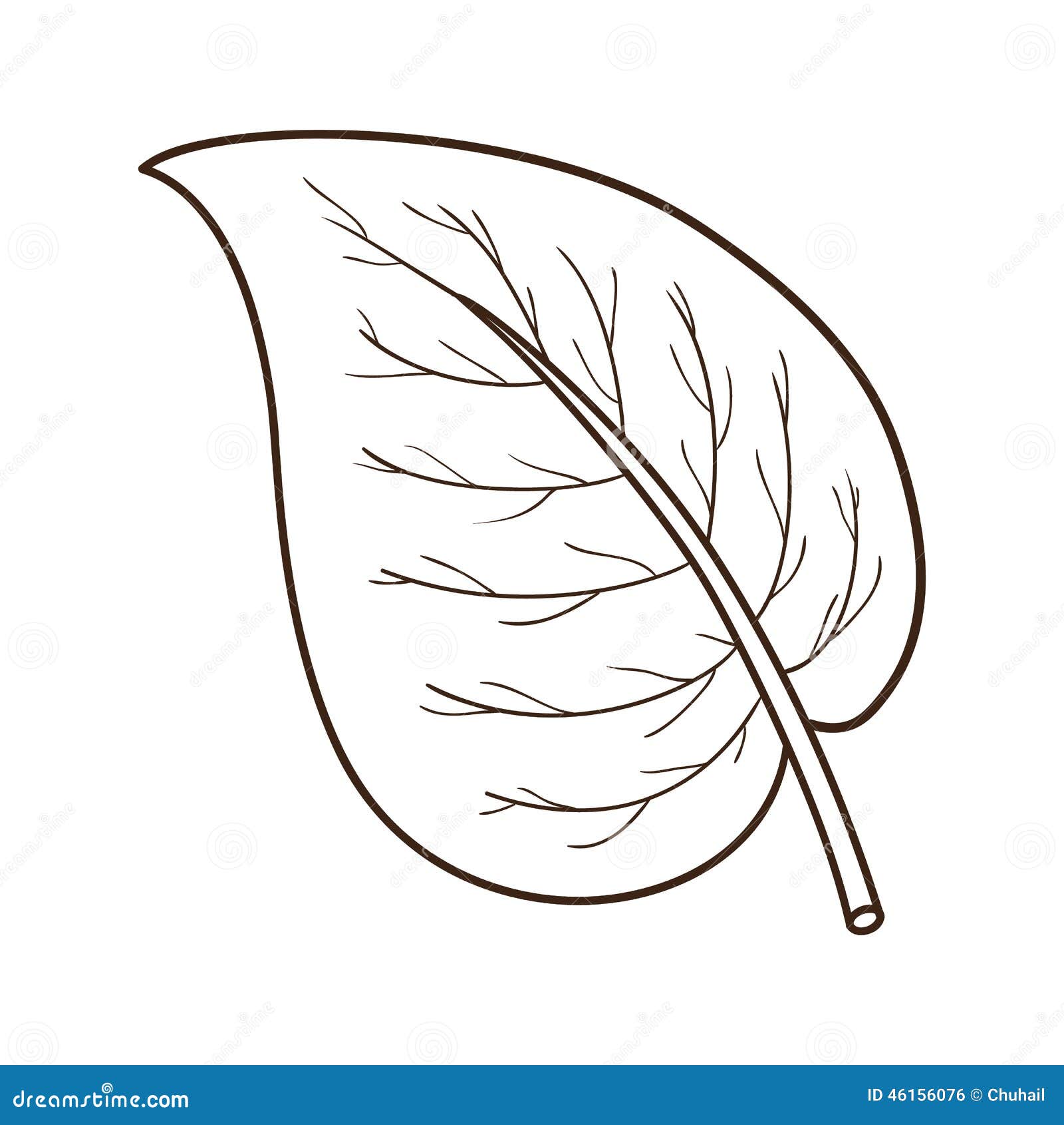 Sketch Leaf Isolated on White. Stock Vector - Illustration of nature ...