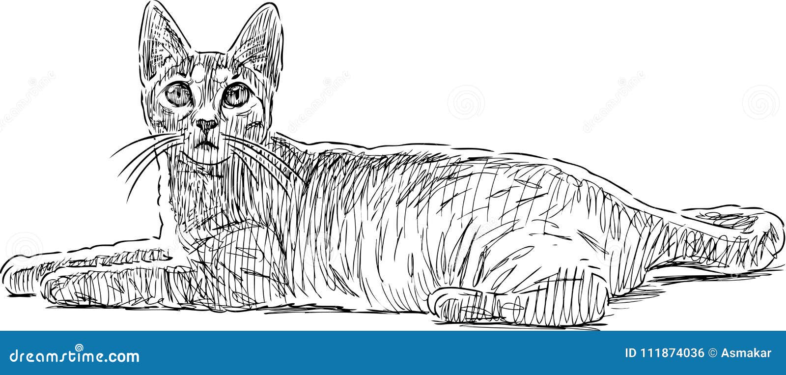 Sketch of a lying cat stock vector. Illustration of lying - 111874036