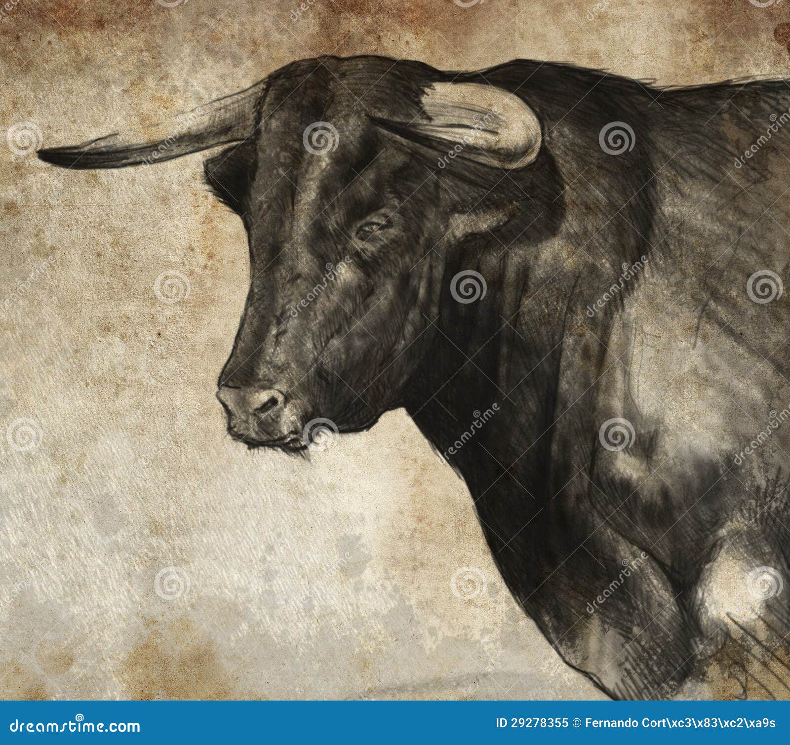 Sketch Made with Digital Tablet of Spanish Bull Stock Illustration ...