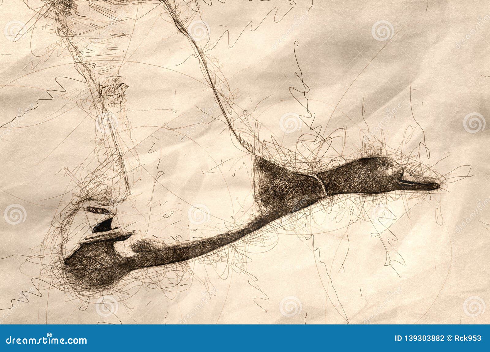 Sketch of a Mallard Duck in Flight Stock Illustration - Illustration of ...