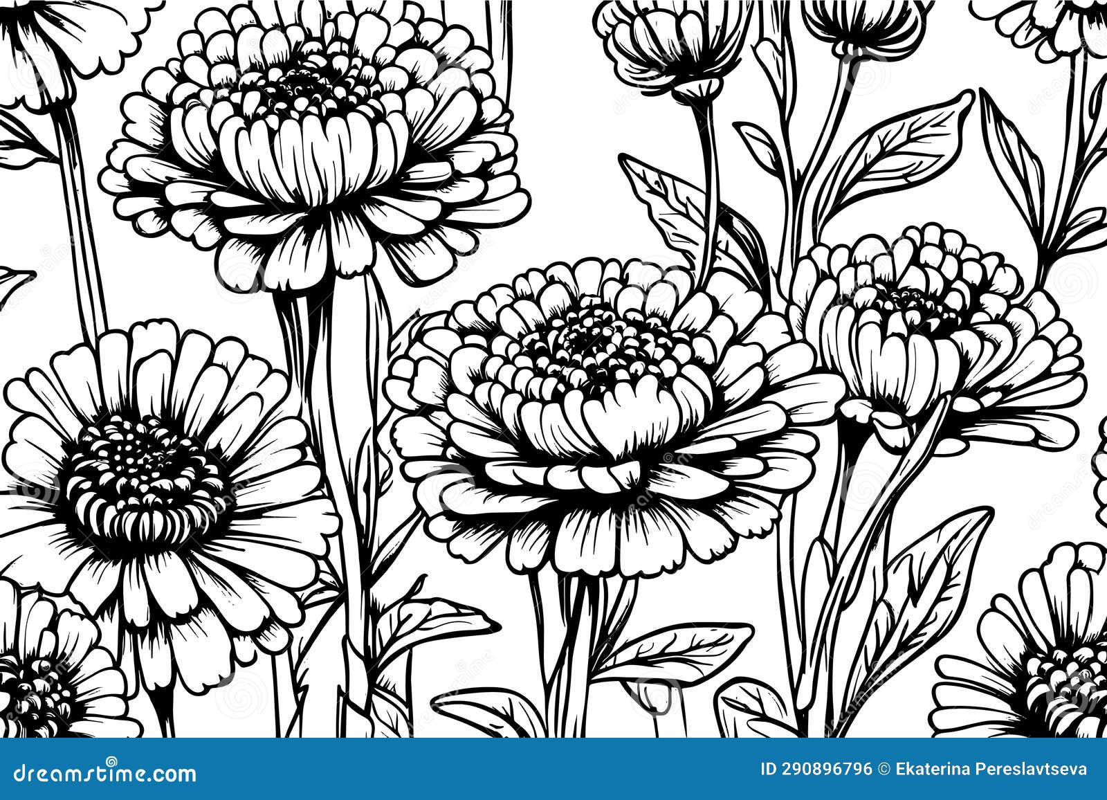 Sketch Marigold Flower Drawing, Vintage Marigold Drawing, Outline ...