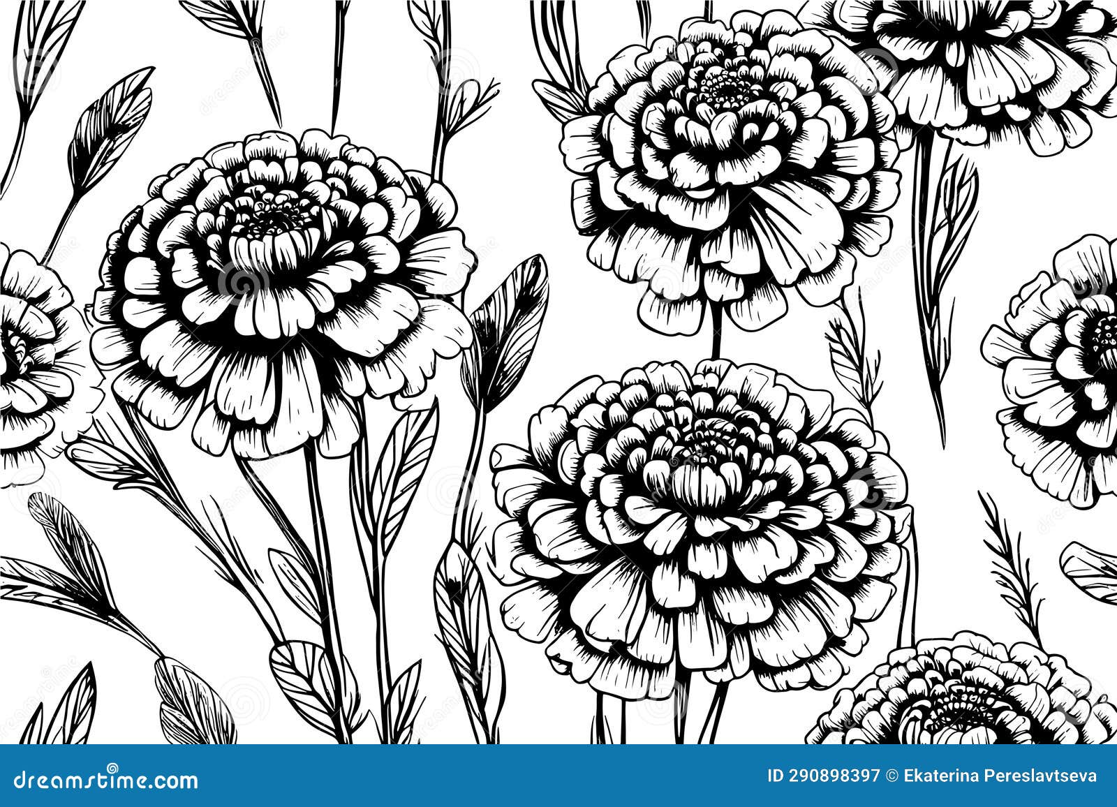 Sketch Marigold Flower Drawing, Vintage Marigold Drawing, Outline ...