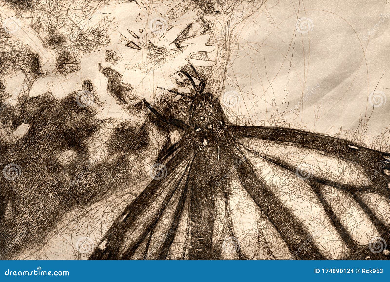 Sketch of a Monarch Butterfly Sipping Nectar from the Accommodating ...