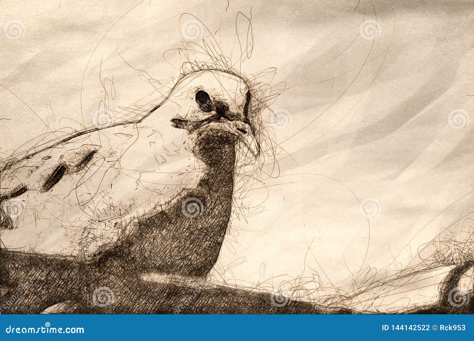 Sketch of a Mourning Dove Perched in a Tree Stock Illustration ...