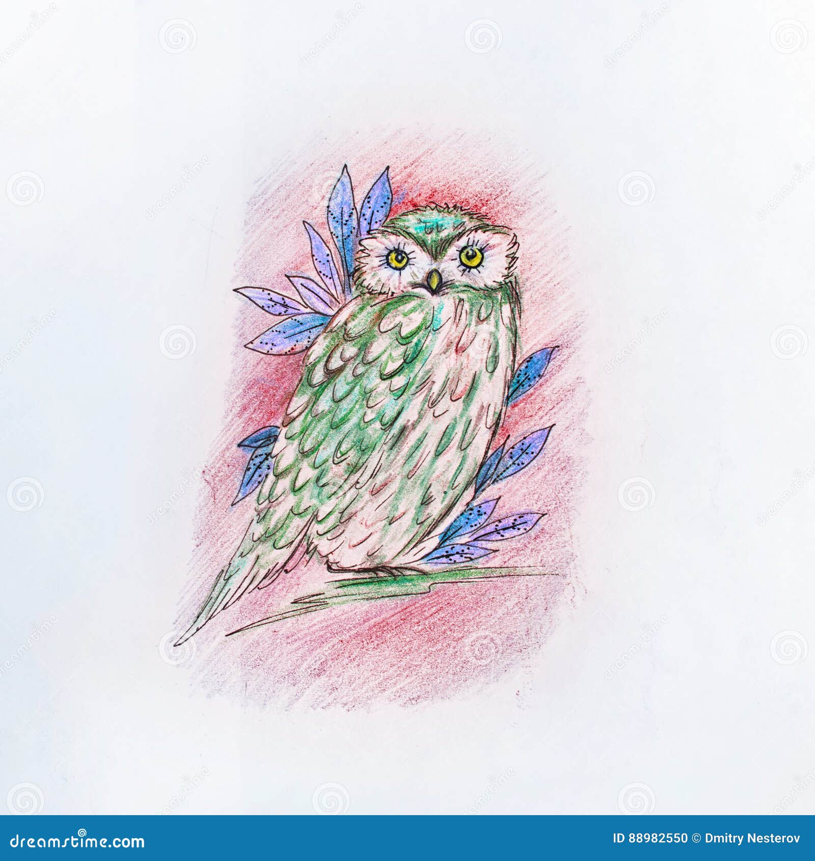 Sketch in the Night Owl on White Background. Stock Illustration ...