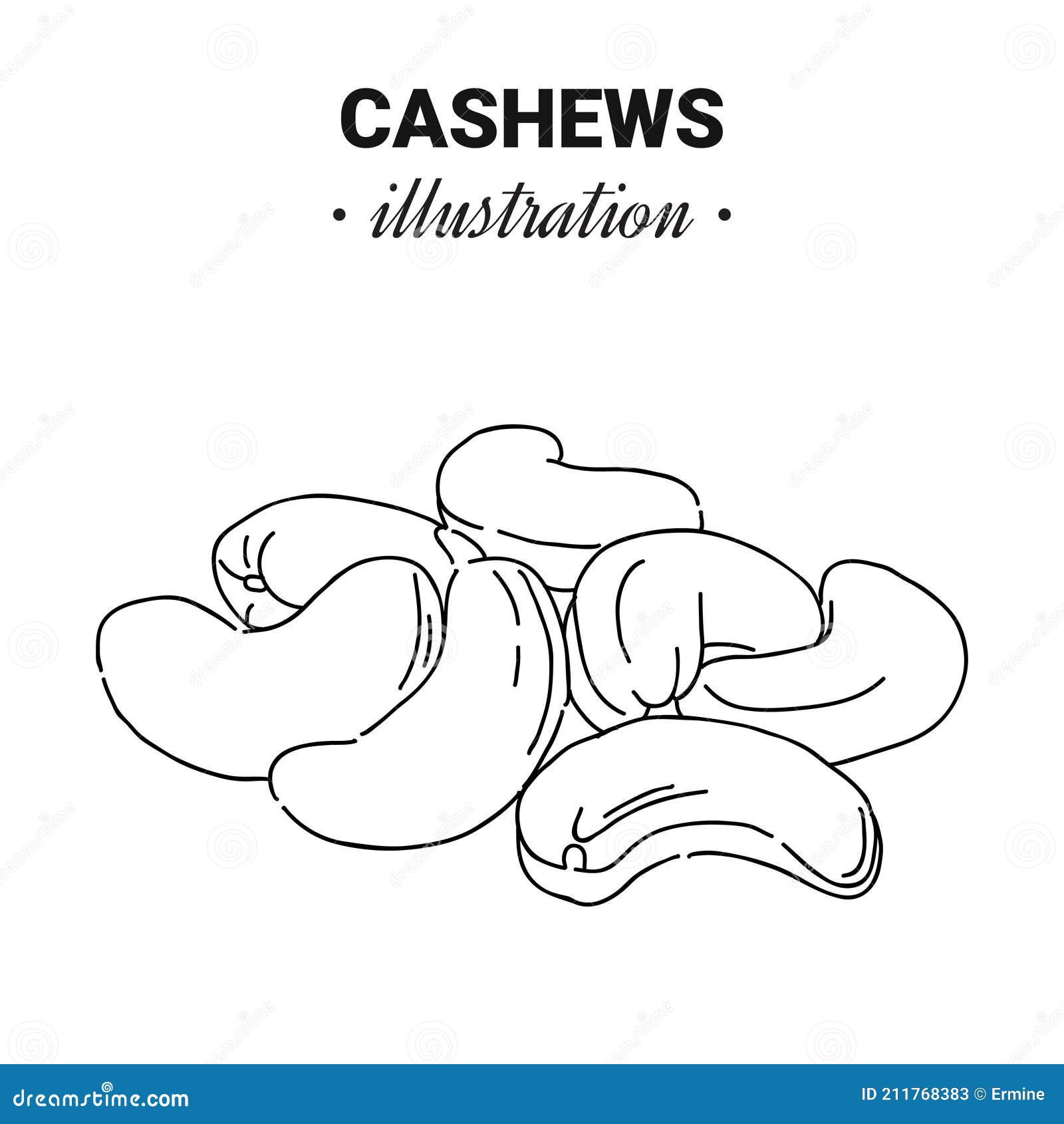Hand Drawn Cashew Illustration Outline. Stock Illustration ...